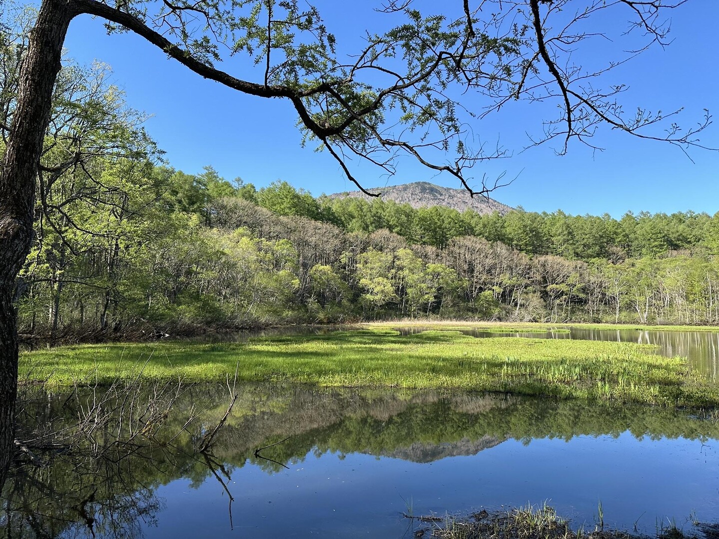 黒姫山 / mayuさんの黒姫山の活動データ | YAMAP / ヤマップ