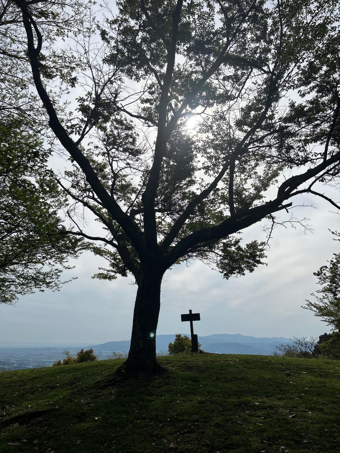 小鷹城山・高宮山・目配山_ トレイルランニング / yes_csさんの目配山の活動データ | YAMAP / ヤマップ