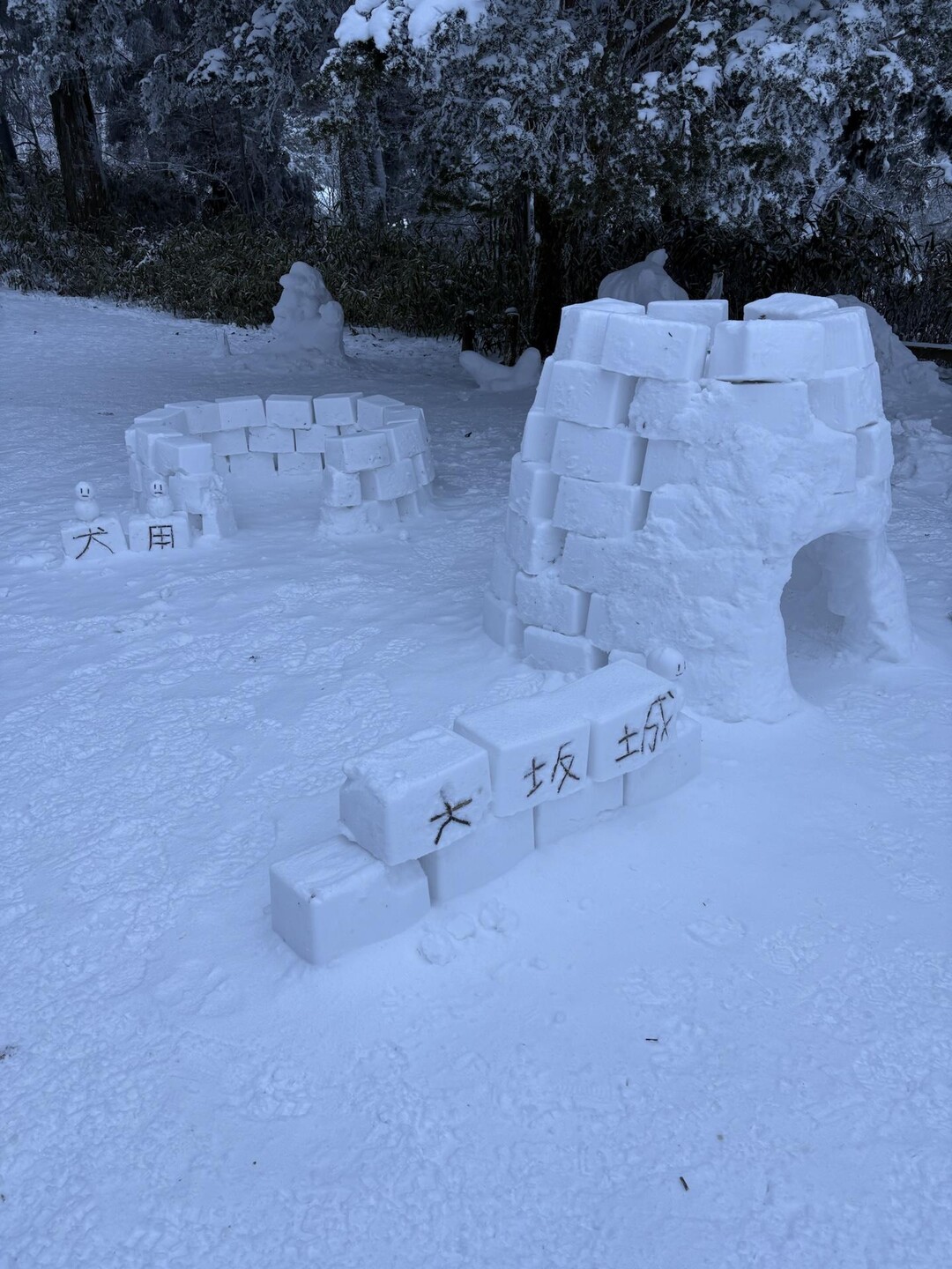 金剛山・葛木岳 / Keiさんの金剛山・二上山・大和葛城山の活動日記 | YAMAP / ヤマップ