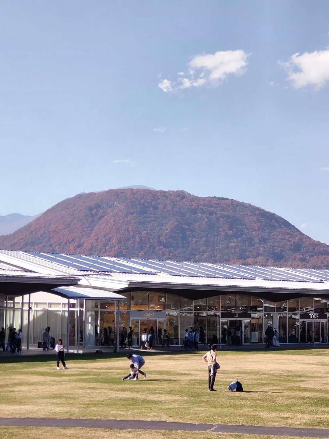 今日は山行くのをやめて奥さんからのリクエ... / tamuさんのモーメント | YAMAP / ヤマップ