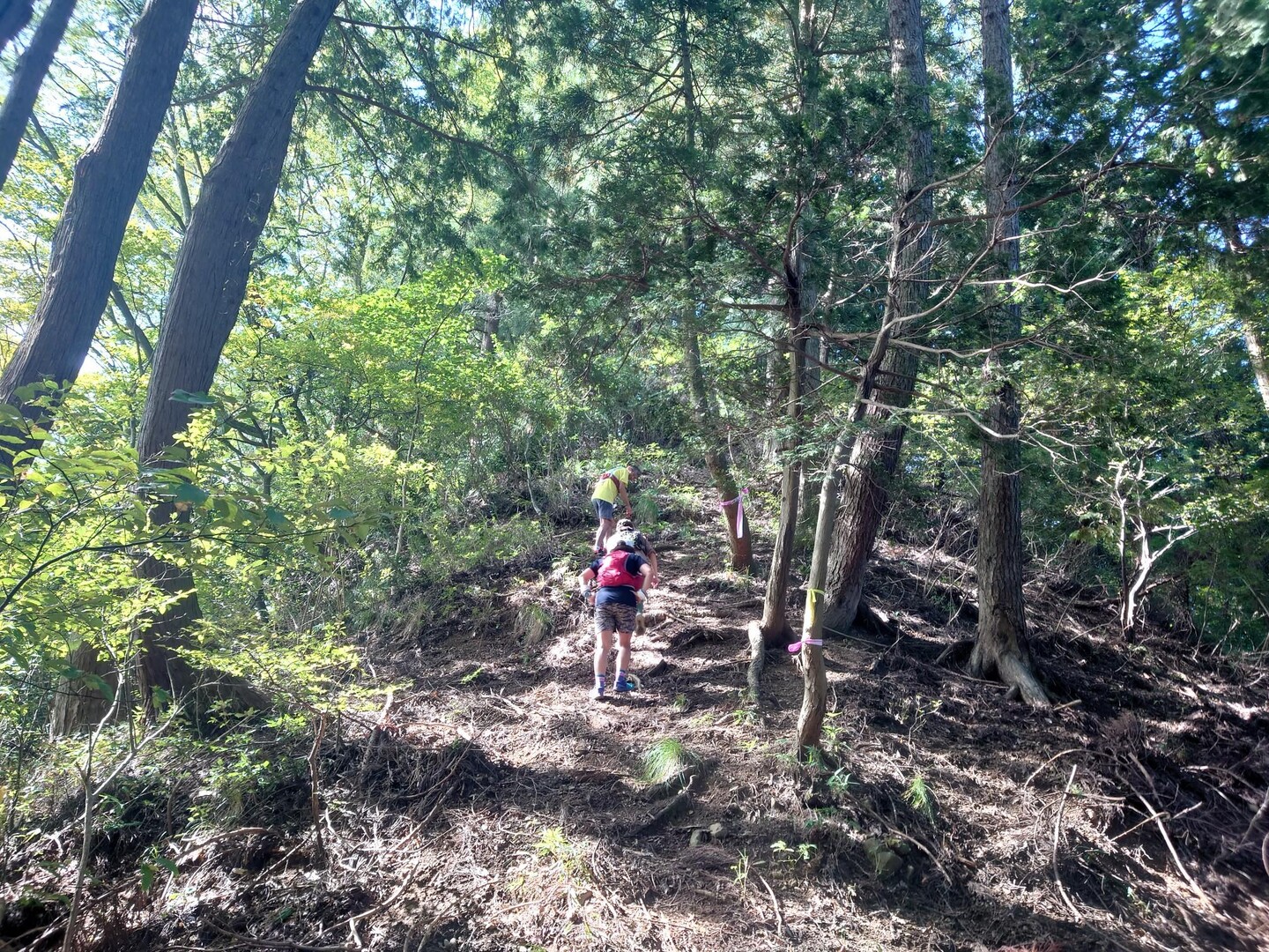 KAWADA TRAIL 試走会 砥山・城山（三峯山）・水谷山・あかはげ山・寺山（天神山） / Peteさんの一乗城山の活動データ | YAMAP / ヤマップ