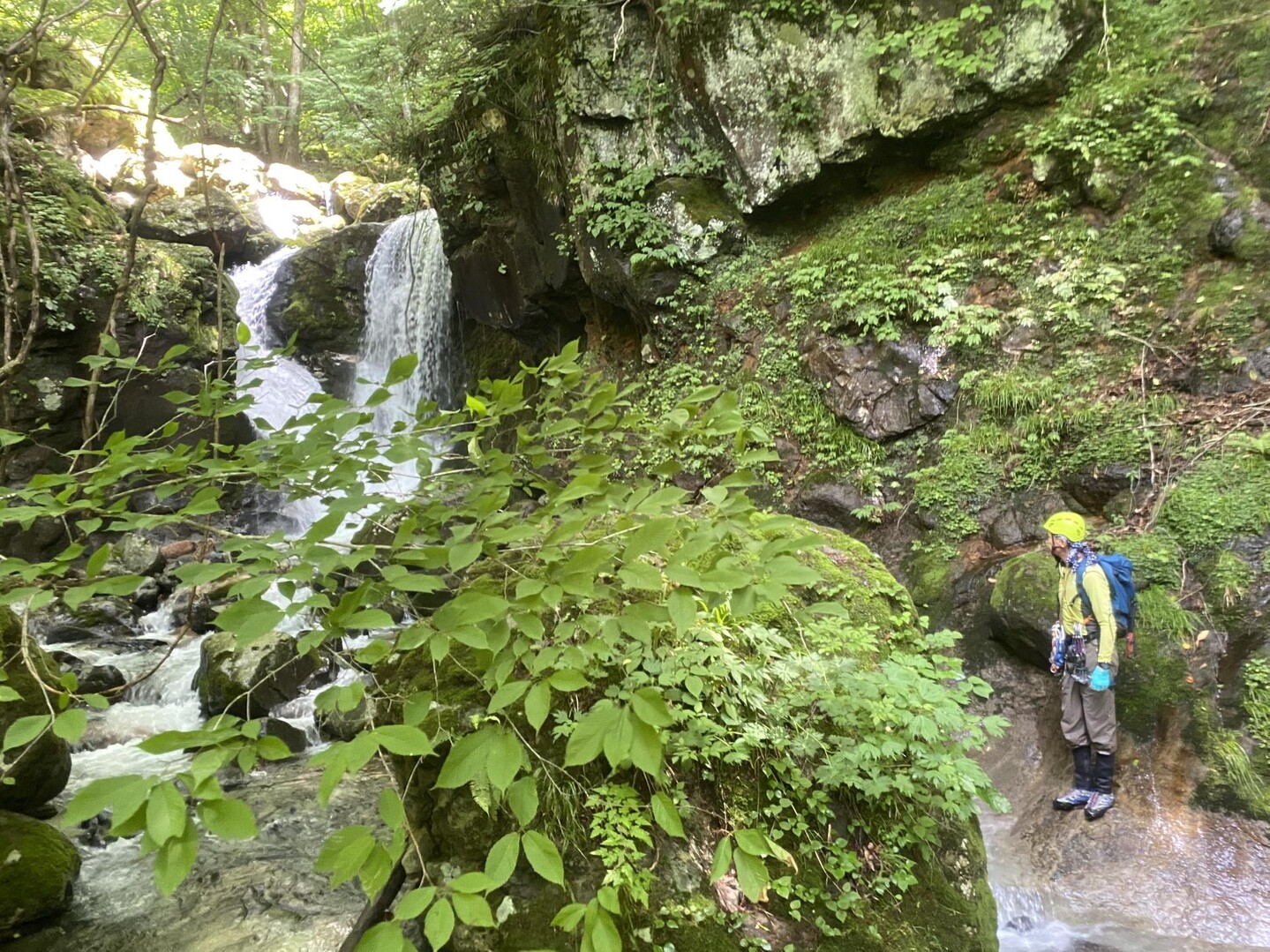 気良川源流 沢登り / ブックエンドさんの母袋烏帽子岳の活動データ | YAMAP / ヤマップ