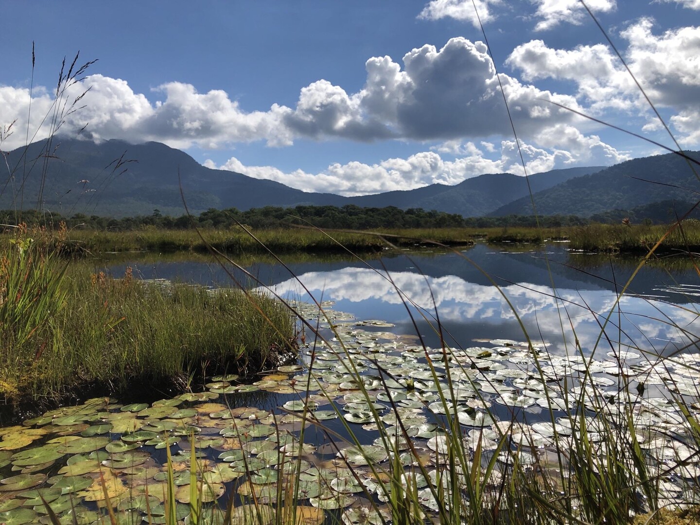 尾瀬ヶ原-2024-09-13〜14 / HNさんの尾瀬・燧ヶ岳の活動データ | YAMAP / ヤマップ