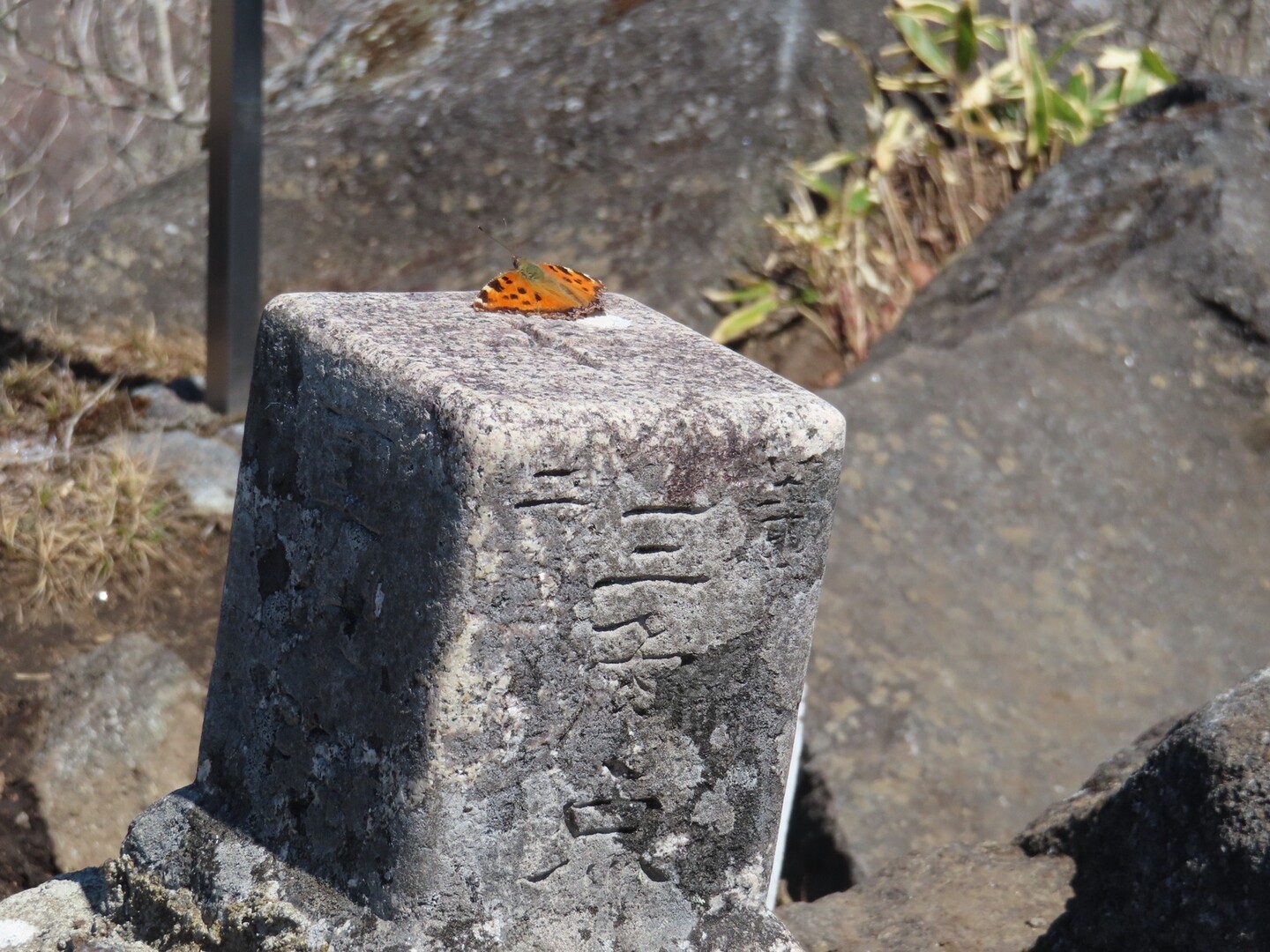 2022.05.23(月) 22:17 / ケロケロ🐸🐸🐸さんのモーメント | YAMAP / ヤマップ