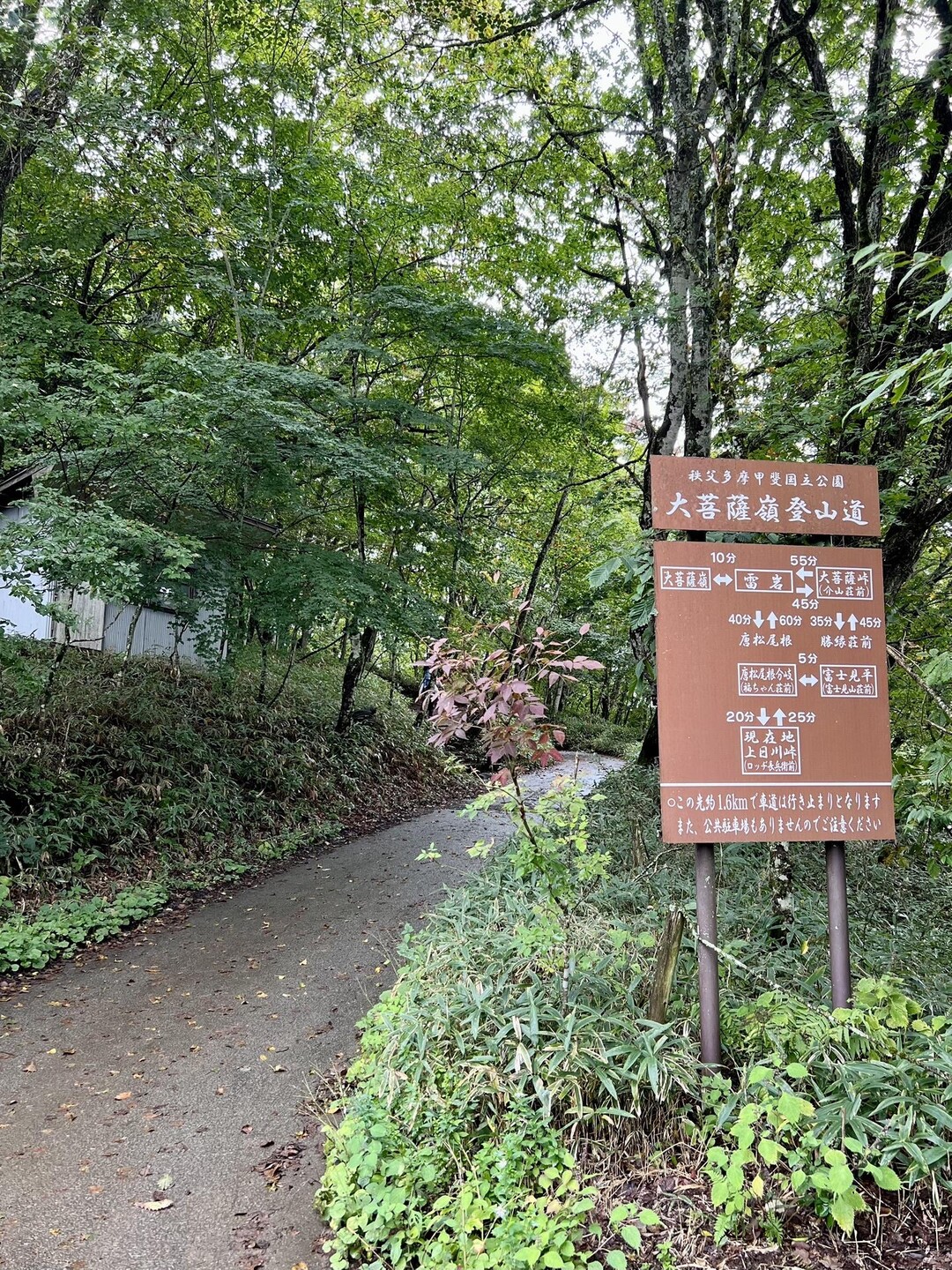 大菩薩嶺・親不知ノ頭 / Rayさんの大菩薩嶺・鶏冠山・大マテイ山の活動データ | YAMAP / ヤマップ