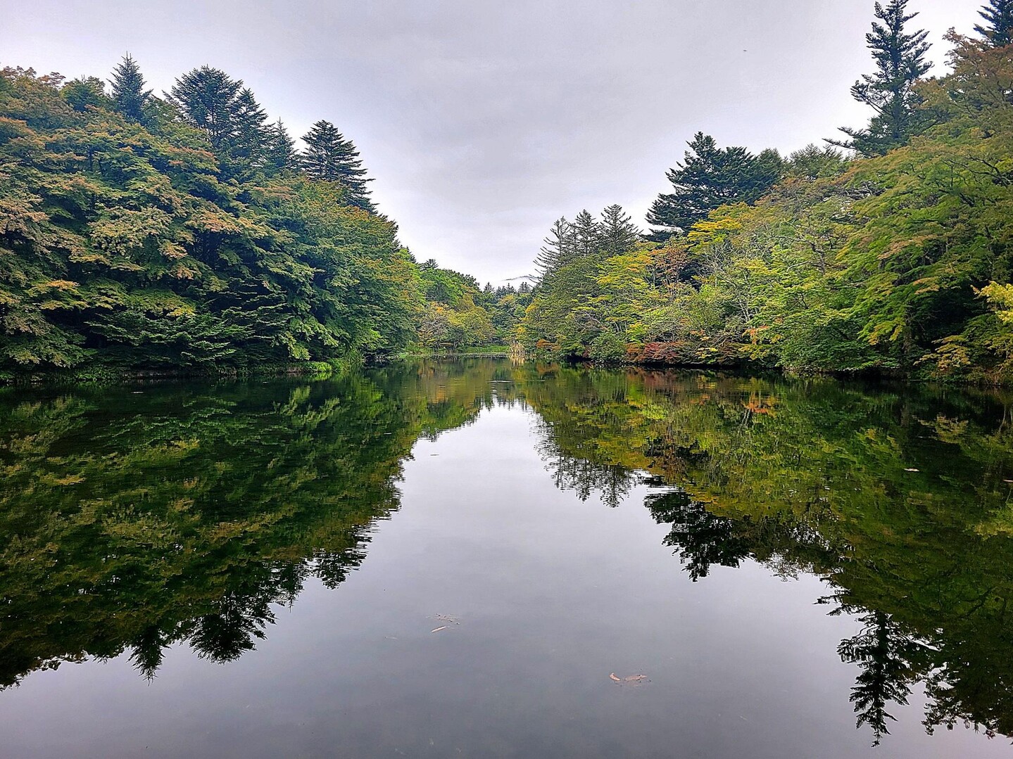 今朝の軽井沢ラン6km🏃 AM7時頃、... / AOBAさんのモーメント | YAMAP / ヤマップ
