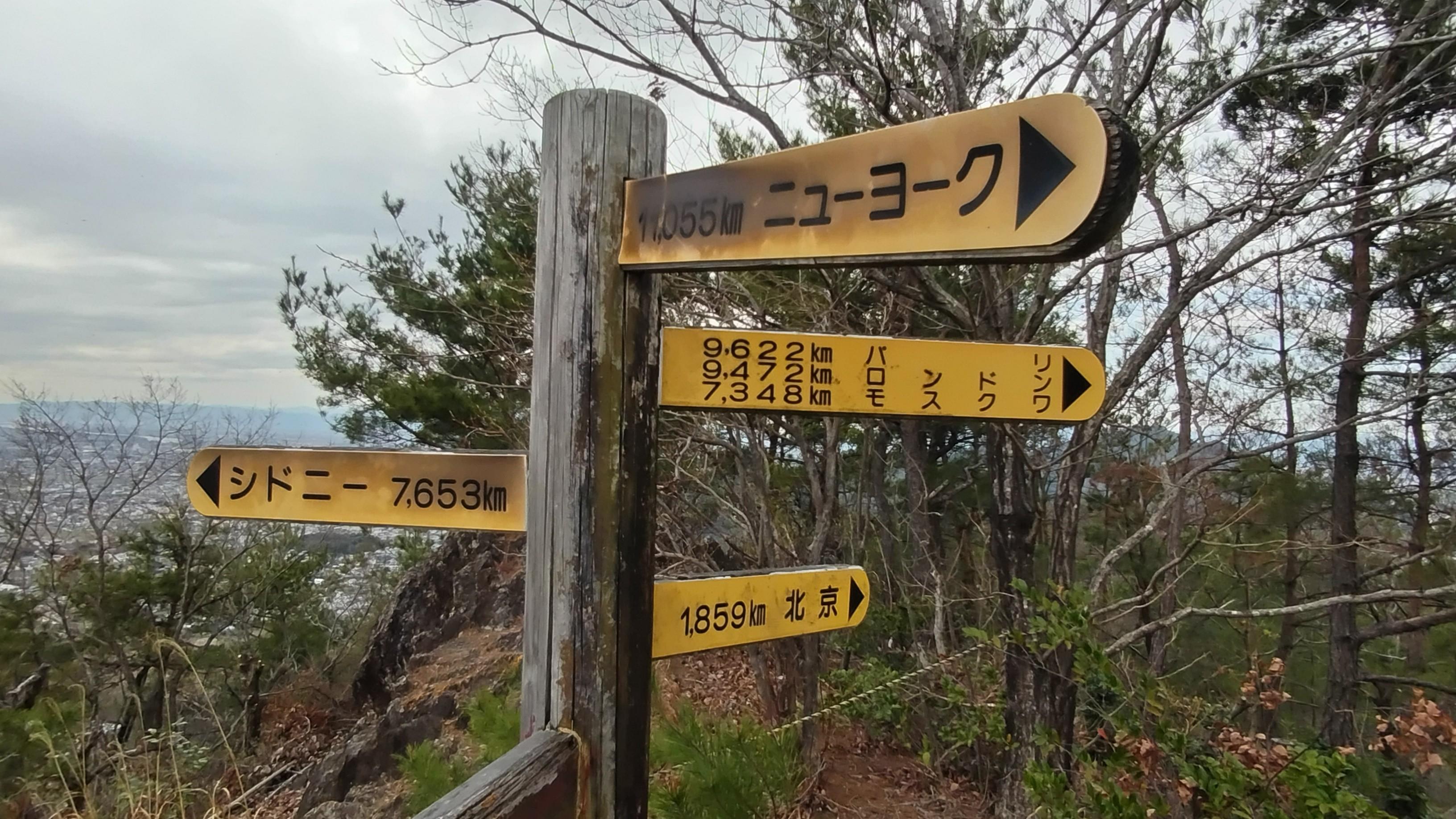 Refreash Hiking / katomicさんの金華山・洞山・舟伏山の活動データ | YAMAP / ヤマップ