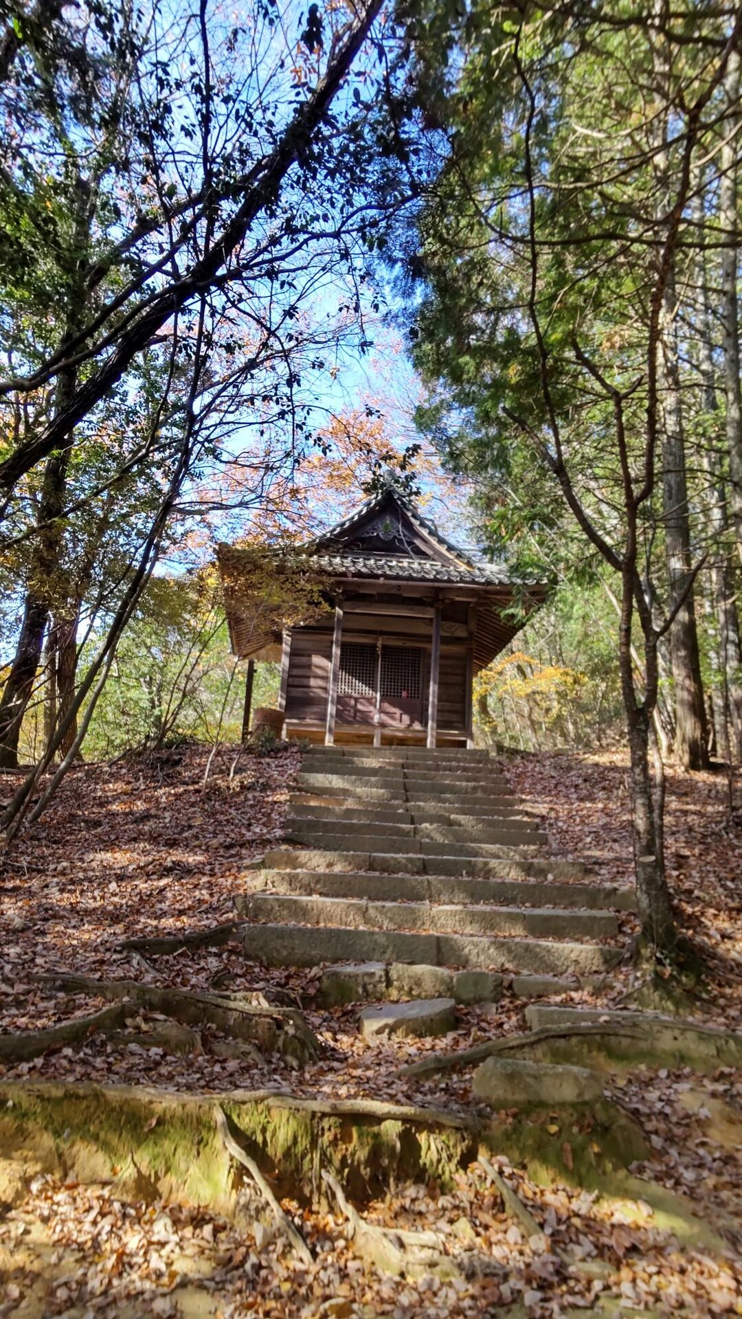 愛宕山（西舞鶴） / zen sugiさんの五老岳の活動データ | YAMAP / ヤマップ