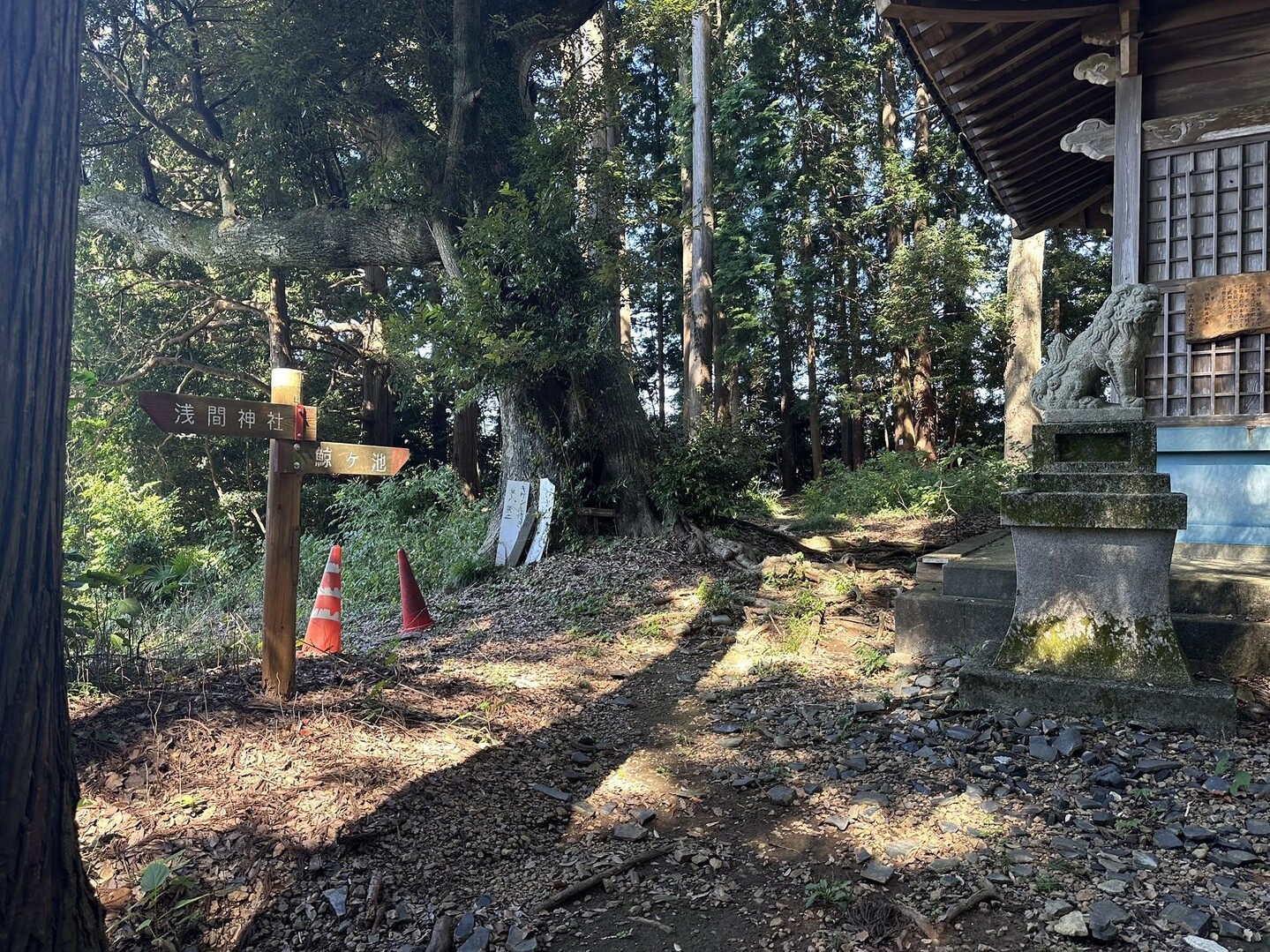 keijuさんの投稿したフィールドメモ | YAMAP / ヤマップ