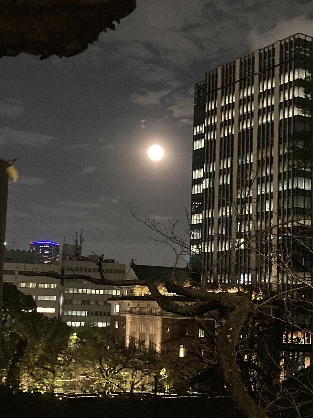 スーパームーン とても月が綺麗だったので... / kaoriさんのモーメント | YAMAP / ヤマップ