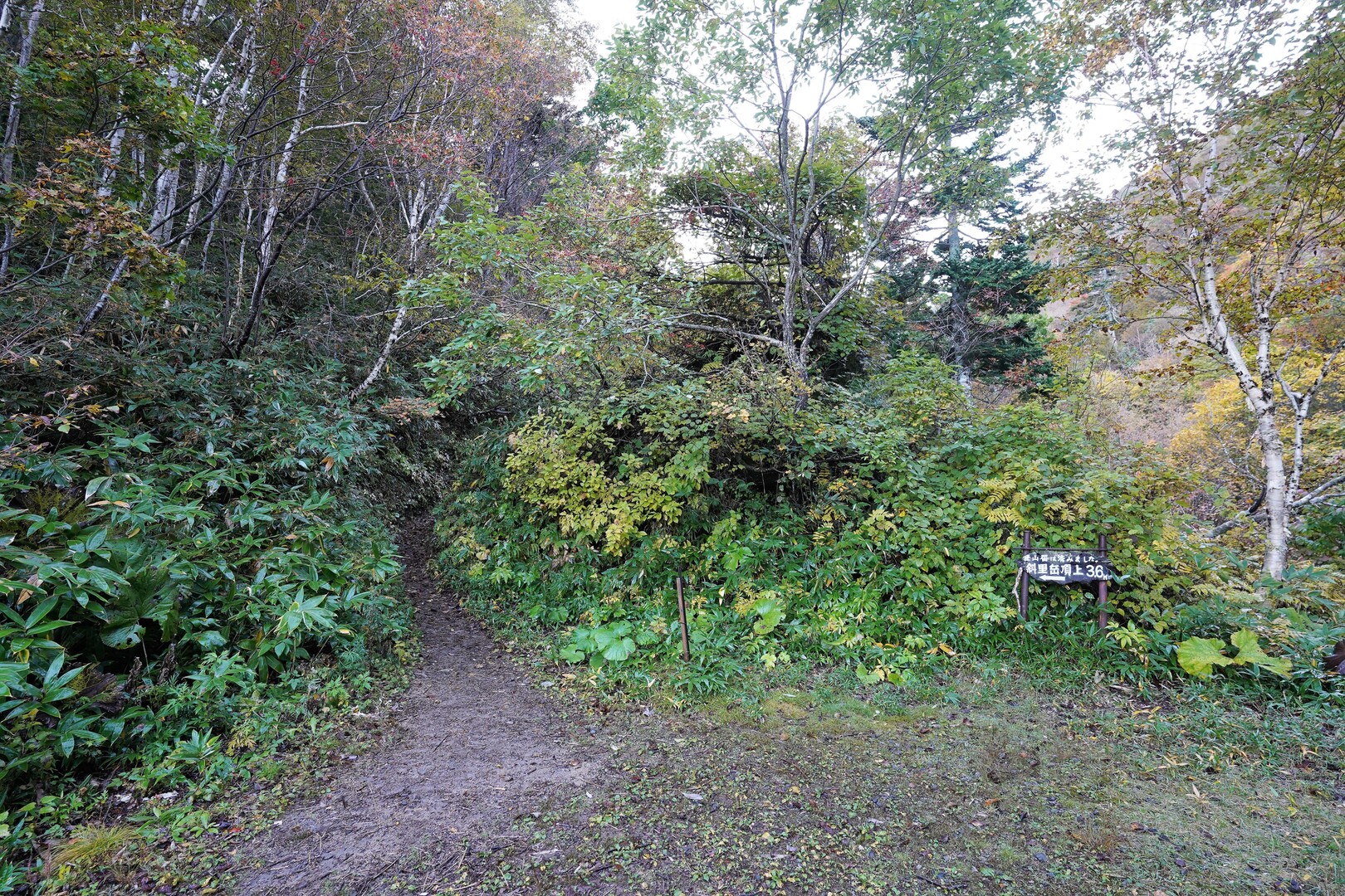 mats(まっつ)さんの投稿したフィールドメモ | YAMAP / ヤマップ