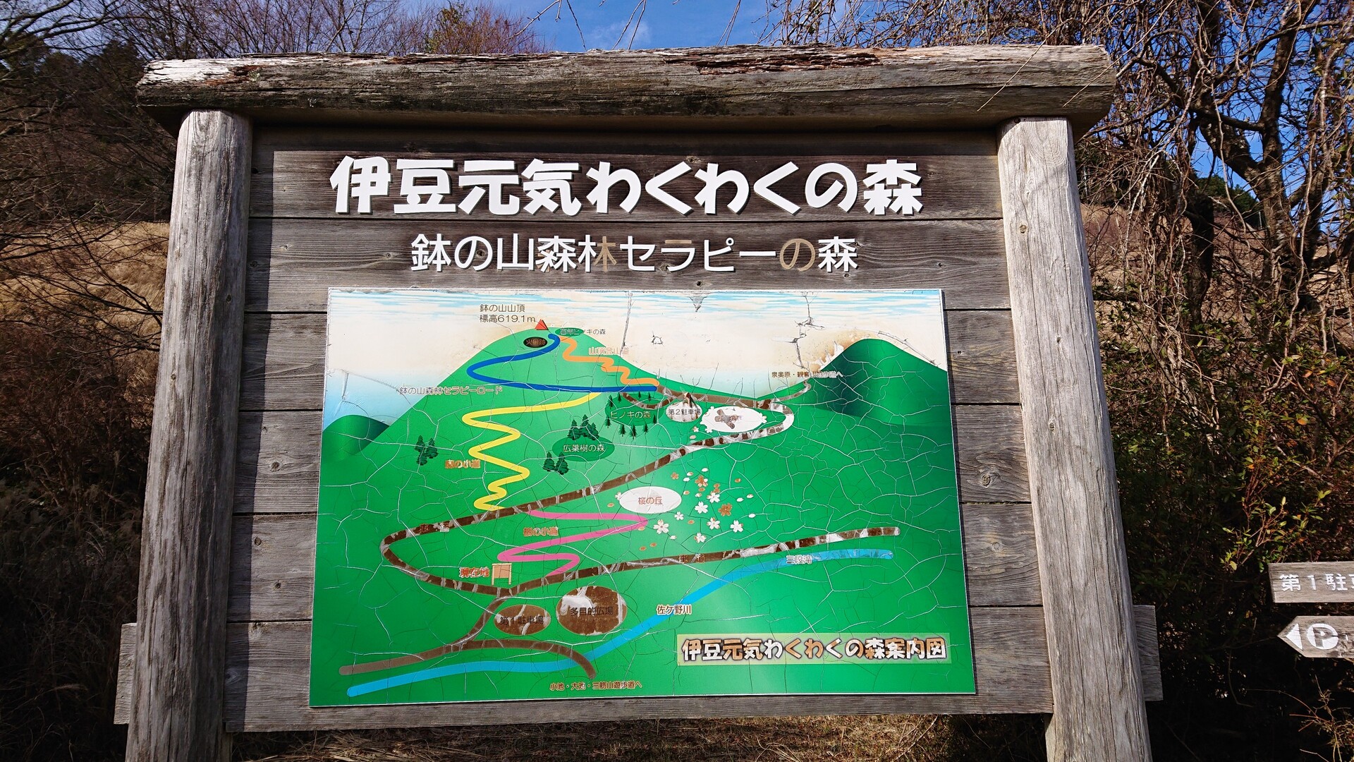 鉢ノ山森林セラピーの森(伊豆元気わくわくの森公園) / fuu-rinさんの天城山・鉢ノ山・三筋山の活動データ | YAMAP / ヤマップ