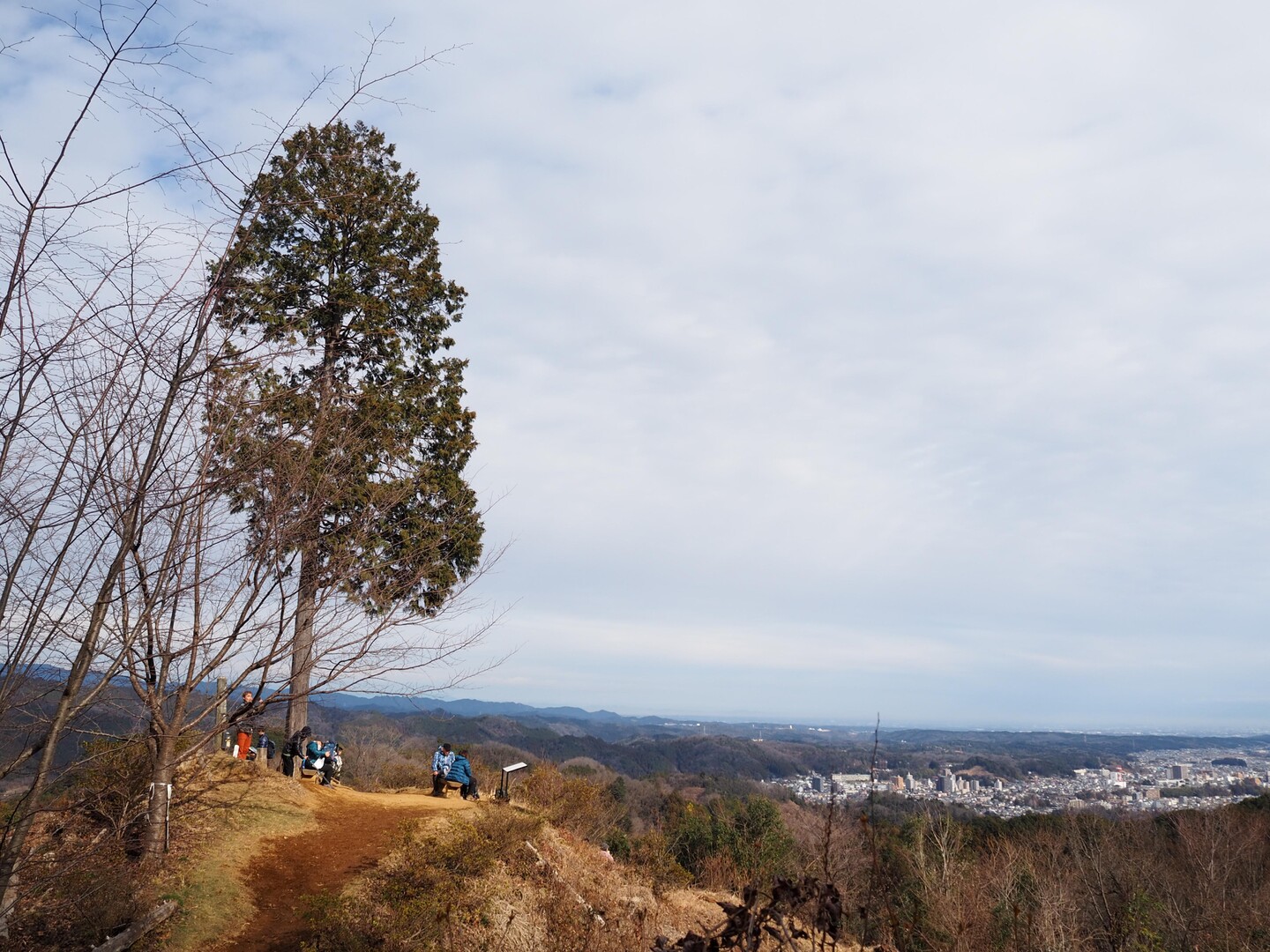 要害山・天狗岩・赤ぼっこ / emuさんの赤ぼっこの活動データ | YAMAP / ヤマップ