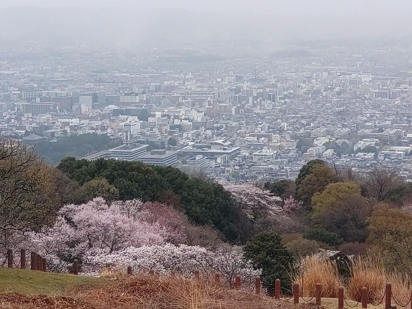 若草山（三笠山） / kacoさんの若草山・芳山・高円山の活動データ | YAMAP / ヤマップ