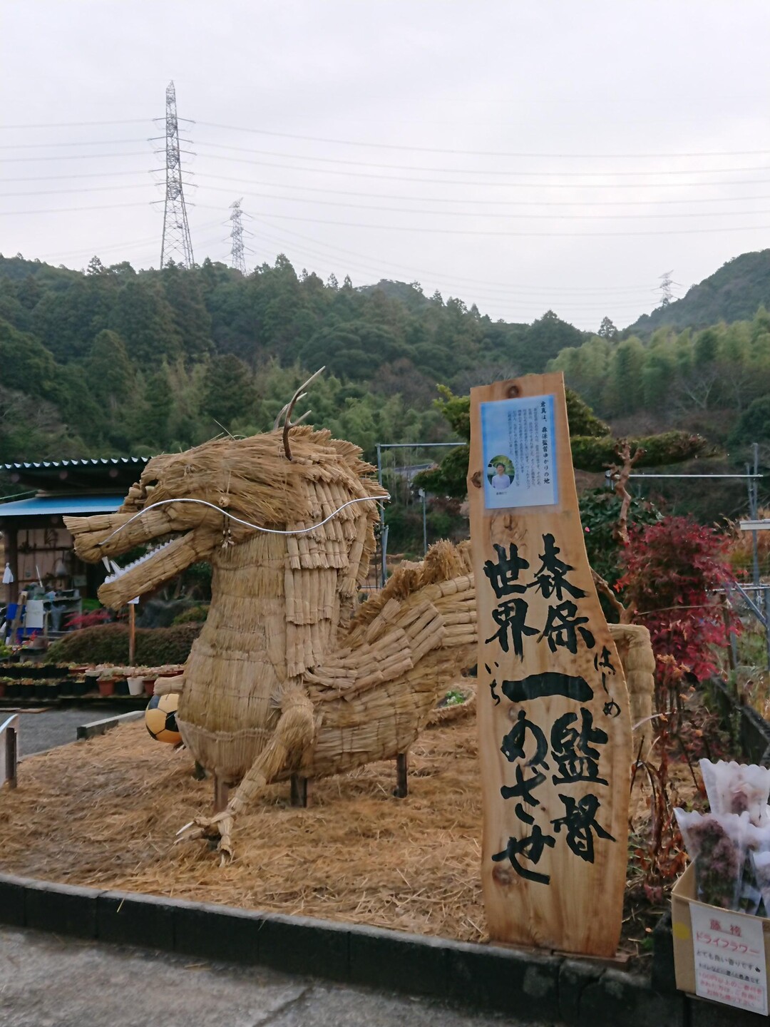 「粟ヶ岳」二頭の龍 / えんしゅうmmさんの粟ヶ岳の活動データ | YAMAP / ヤマップ