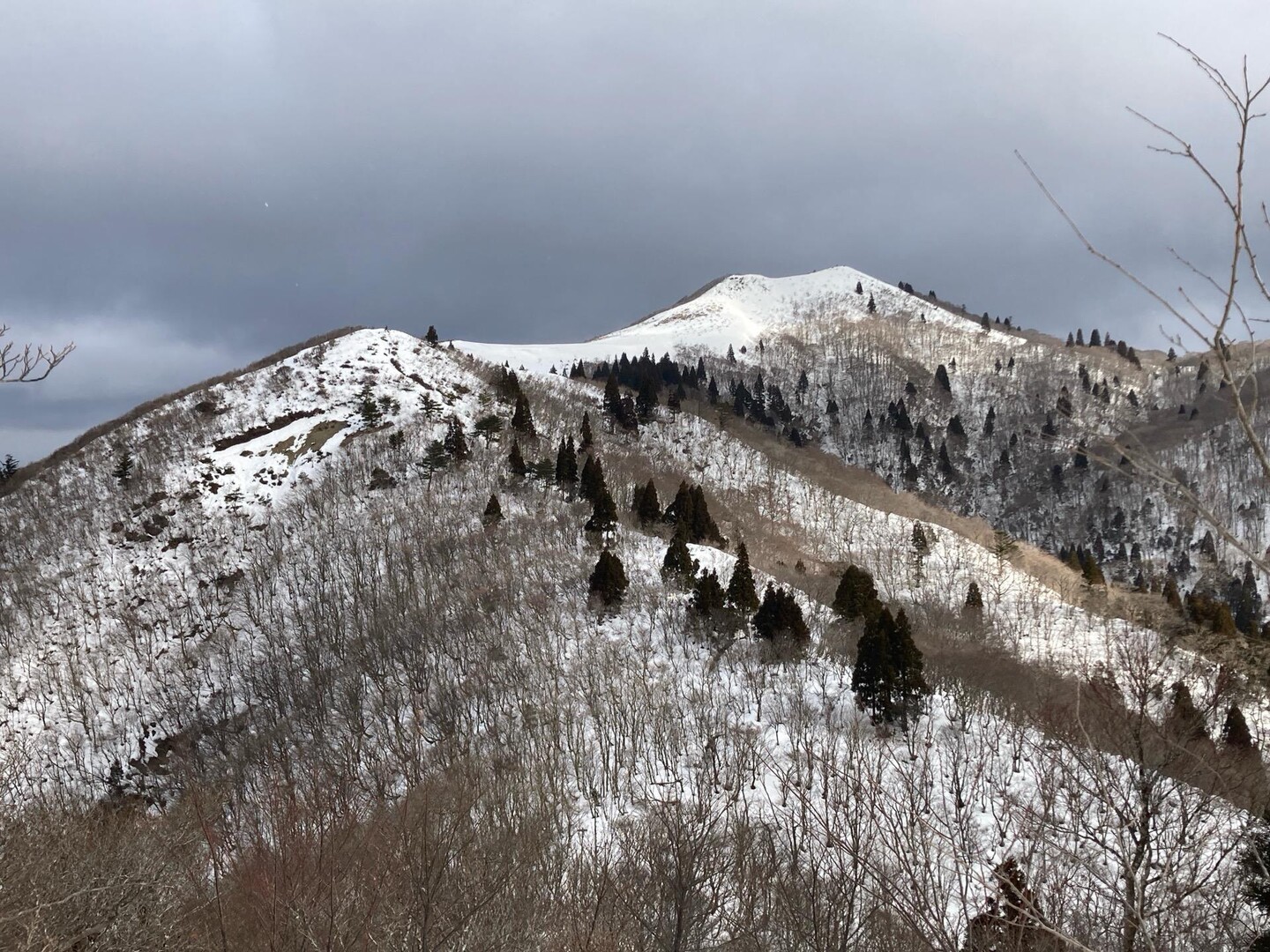 御殿山・武奈ヶ岳 / milkさんの比良山地・武奈ヶ岳・釈迦岳の活動データ | YAMAP / ヤマップ