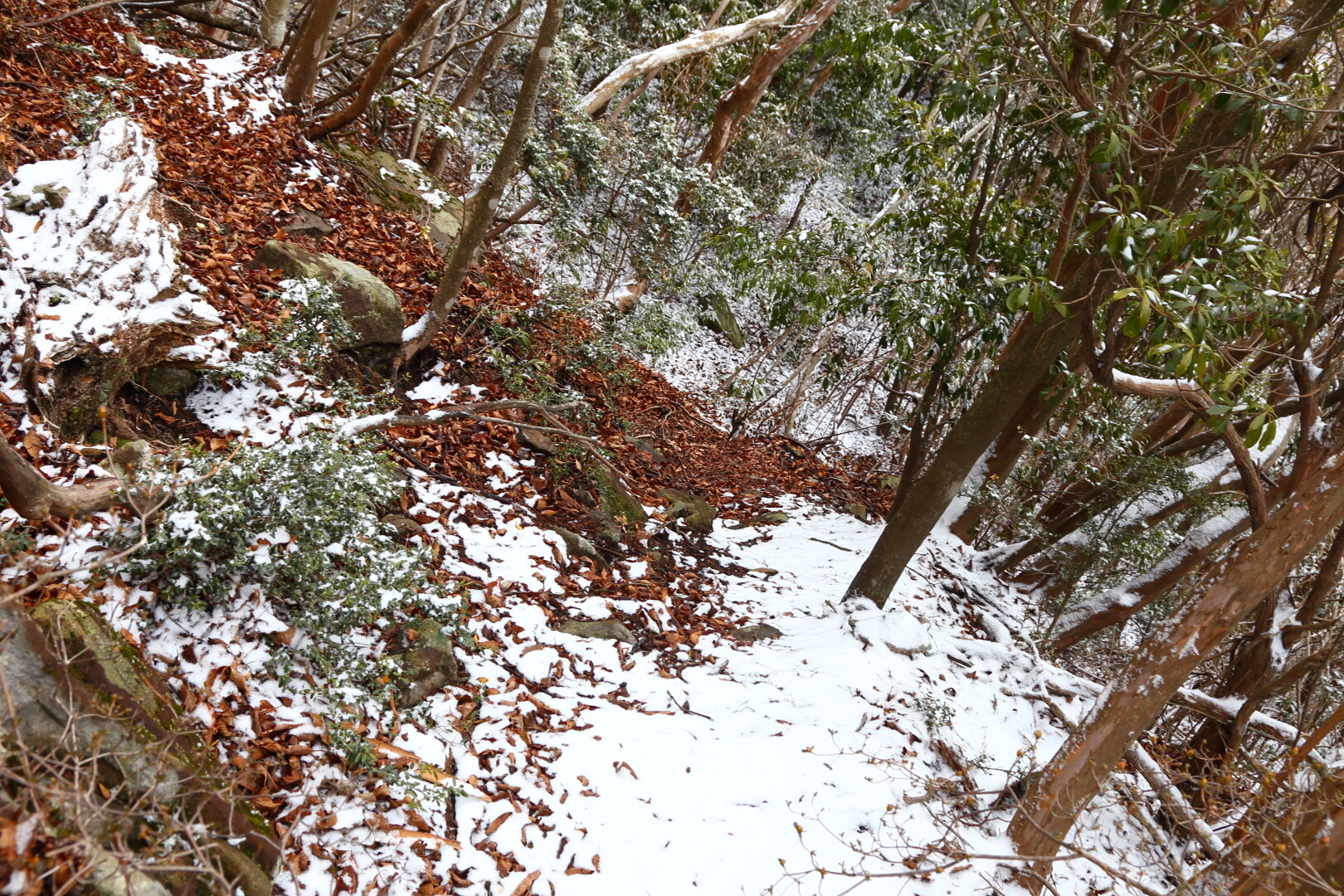 yavさんの投稿したフィールドメモ | YAMAP / ヤマップ