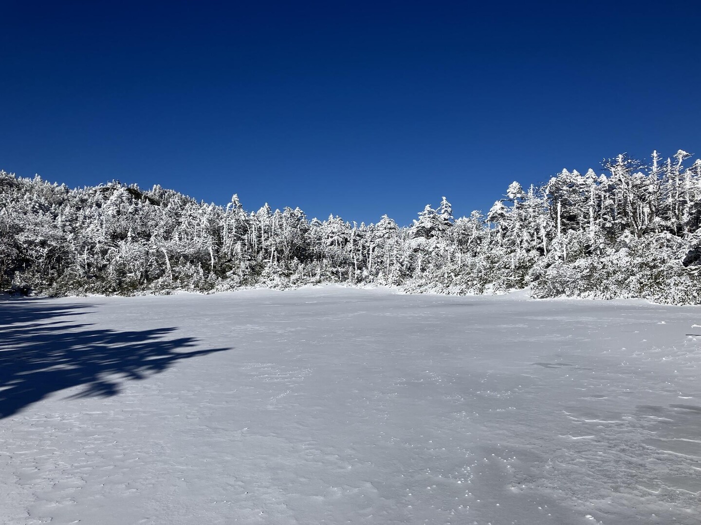 七ツ池から北横岳南峰 / やまお沢さんのモーメント | YAMAP / ヤマップ