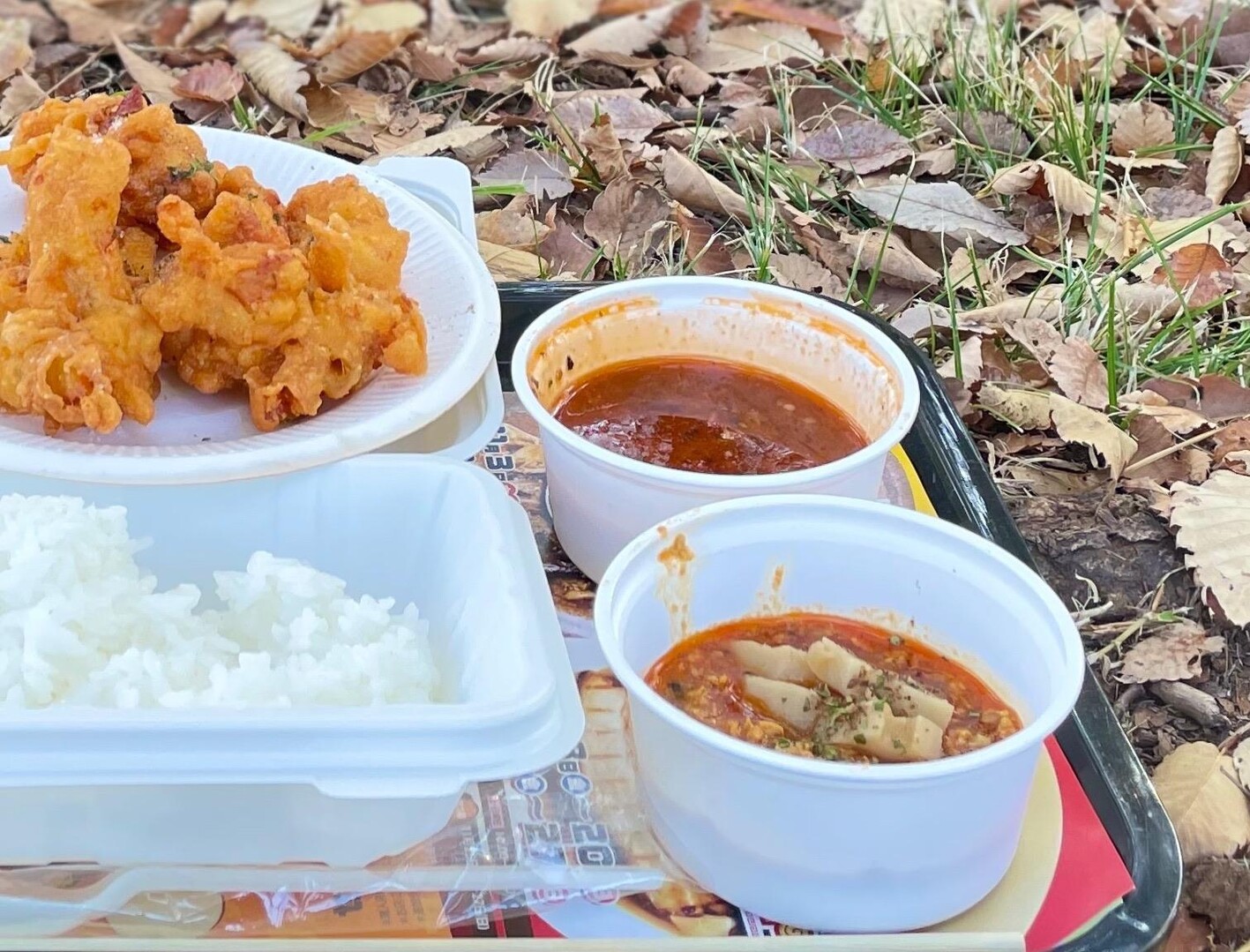 ②大阪城極上カレーストリート🍛大阪市-2022-11-12 / ちーちゃんさんの大阪市の活動データ | YAMAP / ヤマップ