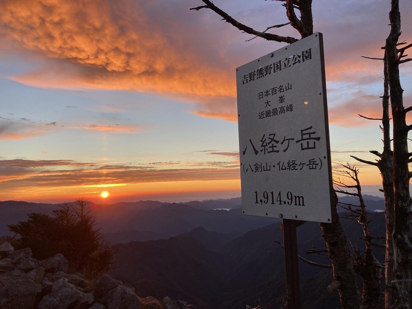 念願の八経ヶ岳 絶景でした / risaさんの八経ヶ岳の活動データ | YAMAP / ヤマップ