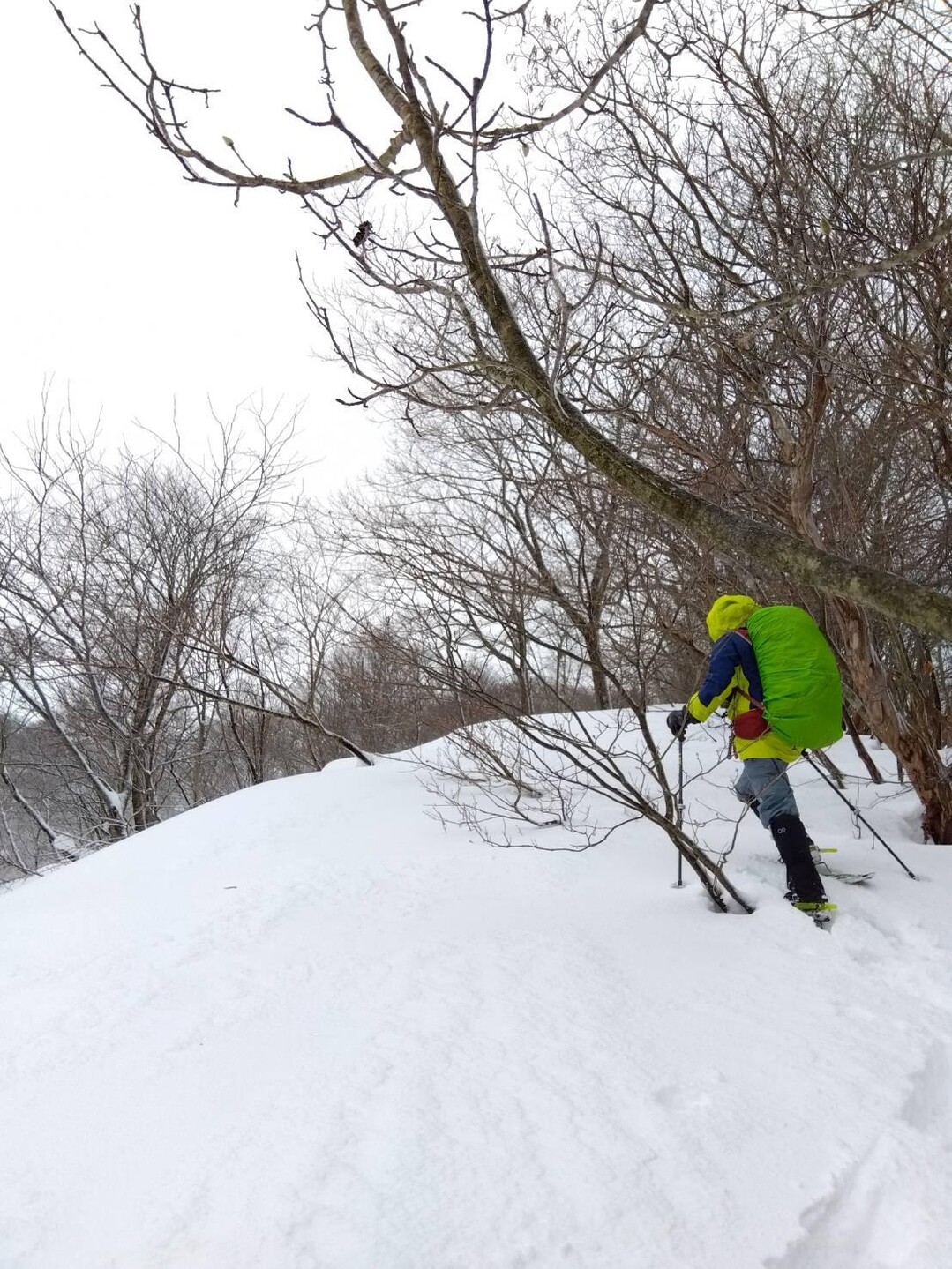 スノーシューで遊ぶ貝月山-2025-01-07 / kuehikoさんの貝月山の活動日記 | YAMAP / ヤマップ