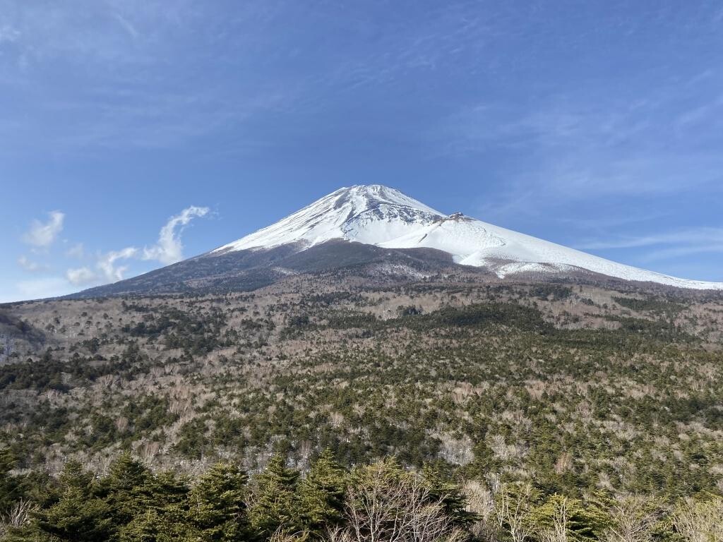 富士山水ヶ塚公園で雪ゾリ遊び / Genkidさんの富士山の活動データ | YAMAP / ヤマップ