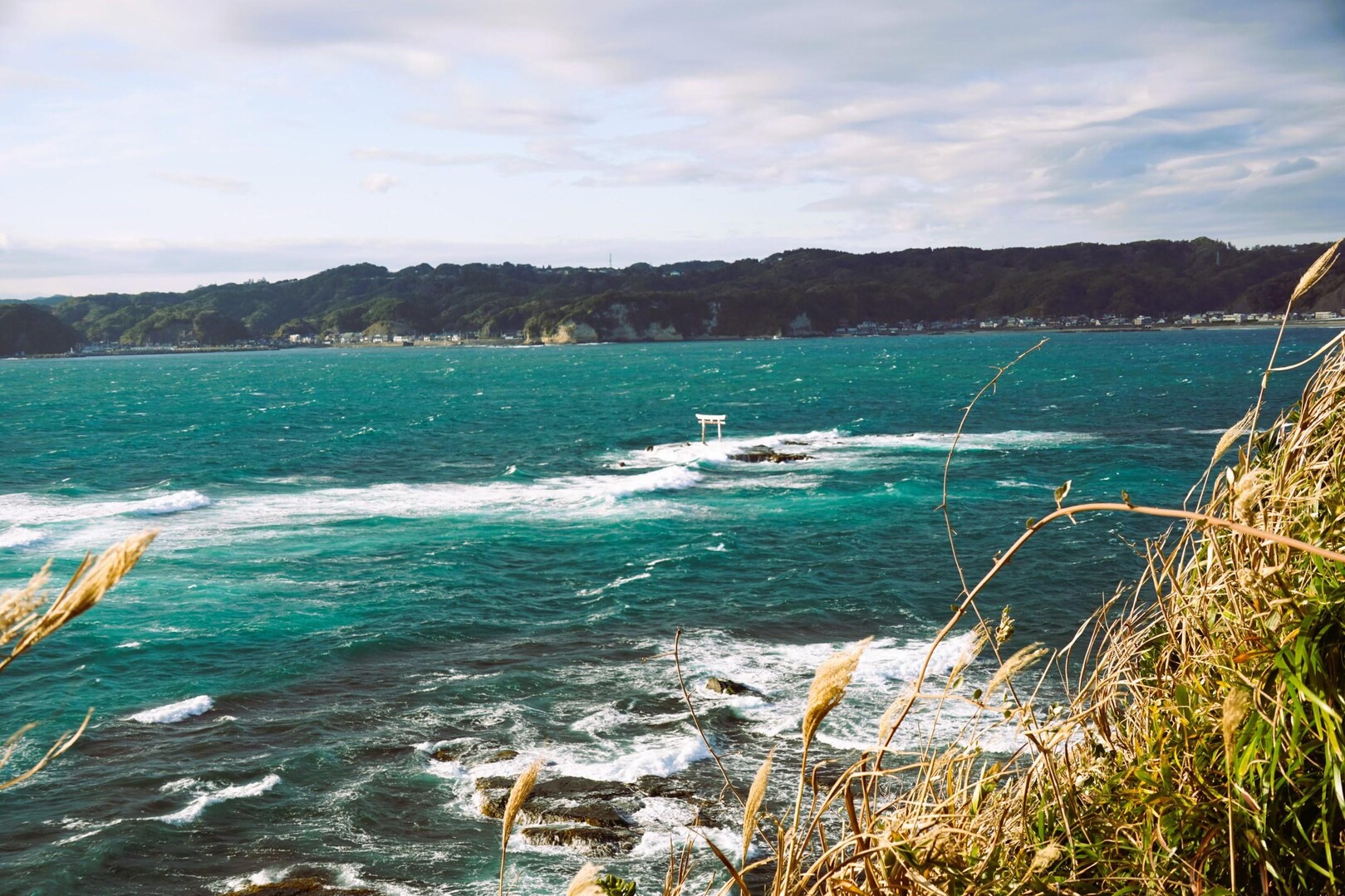 勝浦の海のど真ん中に鳥居があった！ / masap🐾🐾さんのモーメント | YAMAP / ヤマップ