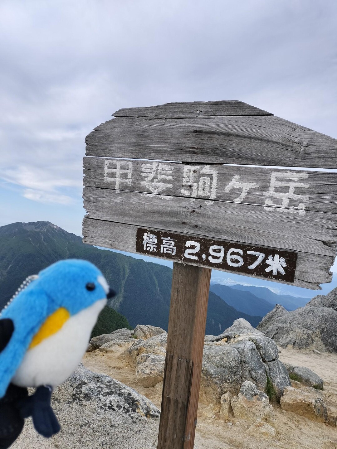黒戸尾根から甲斐駒ヶ岳 / muscari-mieさんの甲斐駒ヶ岳・日向山の活動データ | YAMAP / ヤマップ