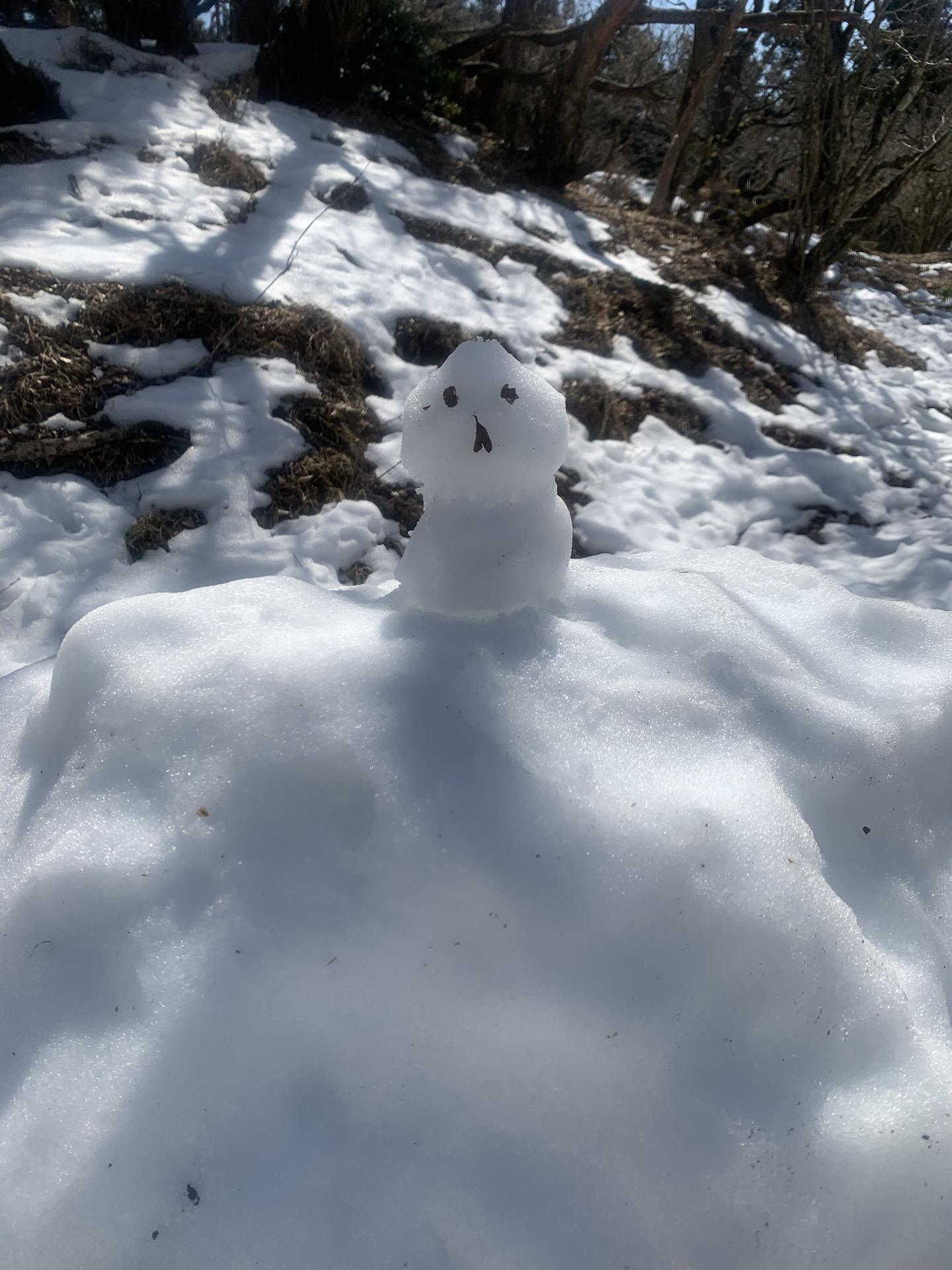 ラストの雪遊び⛄️？大山♪ / ryuさんの大山の活動データ | YAMAP / ヤマップ
