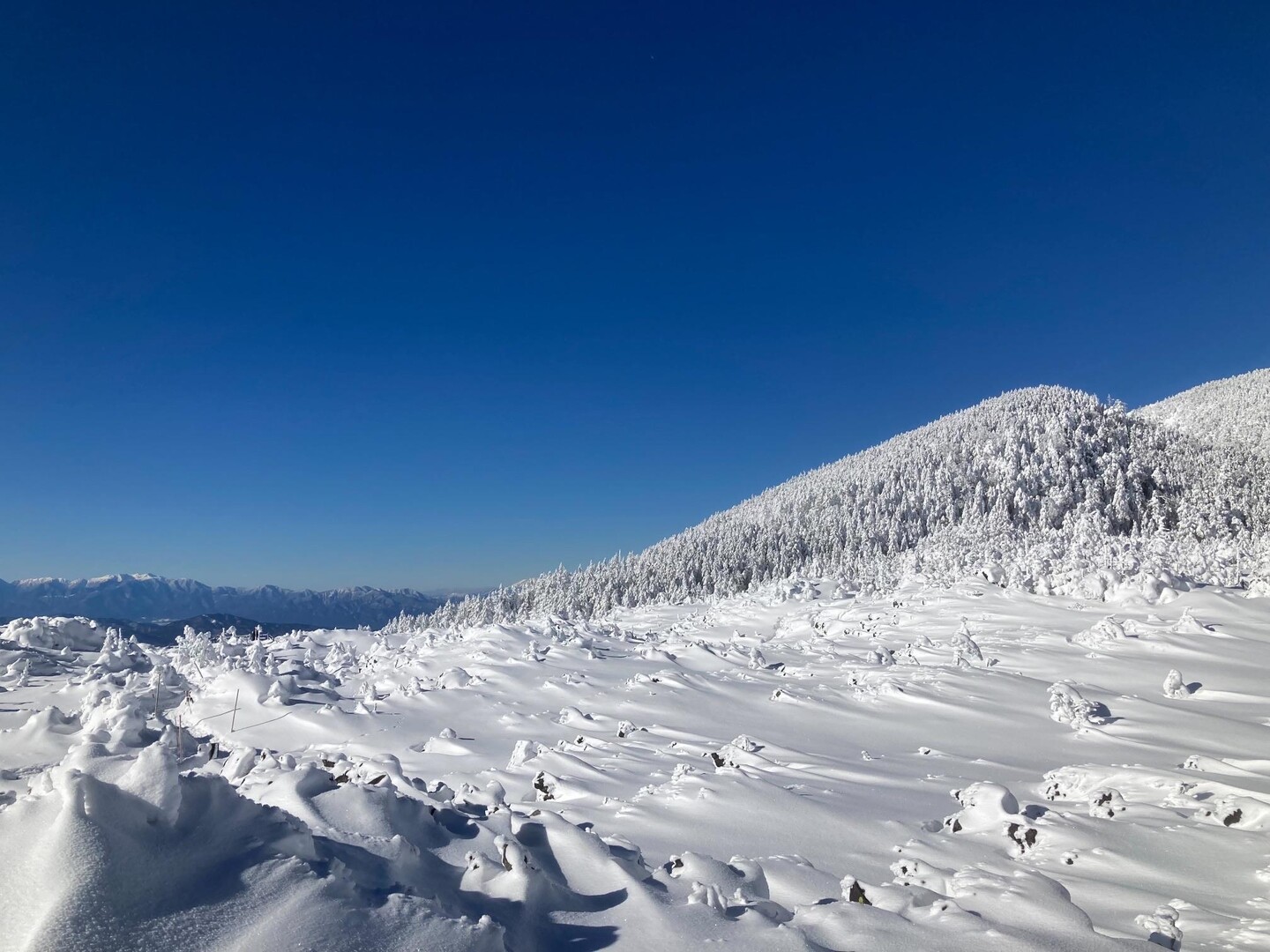 北横岳（南峰）・北横岳（北峰） / kyoさんの蓼科山・横岳・縞枯山の活動データ | YAMAP / ヤマップ