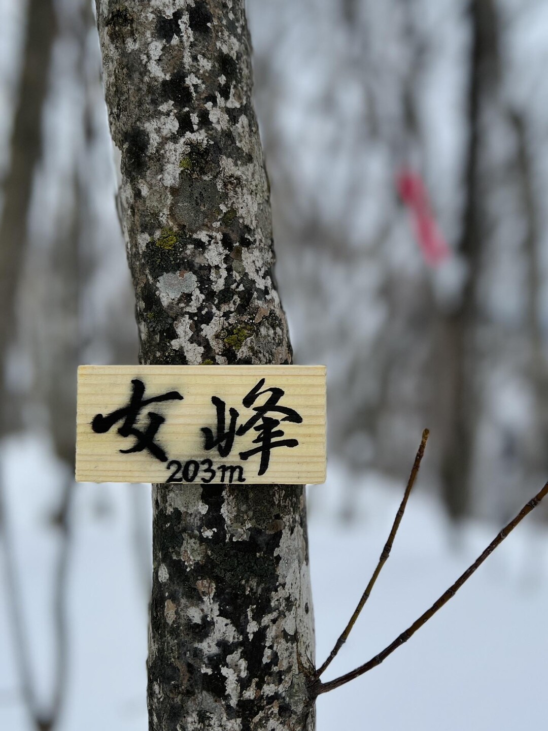 夫婦山（男峰）〜女峰 / FUM!さんの滝川市の活動データ | YAMAP / ヤマップ