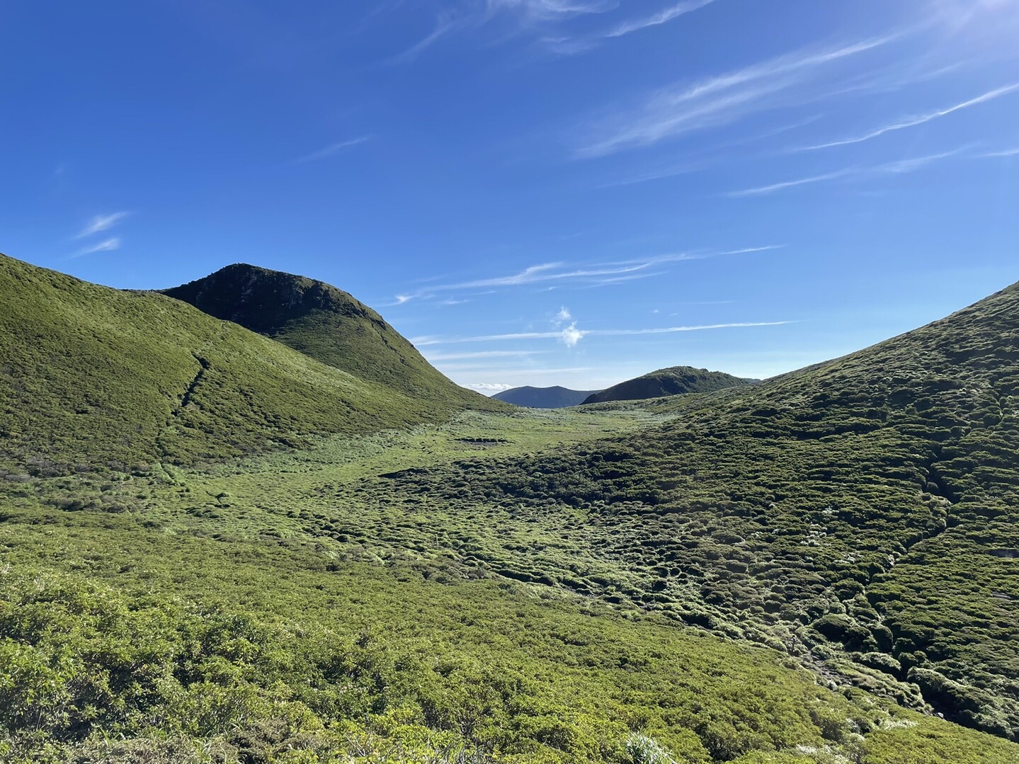 夏の東千里ヶ浜を歩く🚶🏼 / GGファルカンさんの九重山（久住山）・大船山・星生山の活動データ | YAMAP / ヤマップ