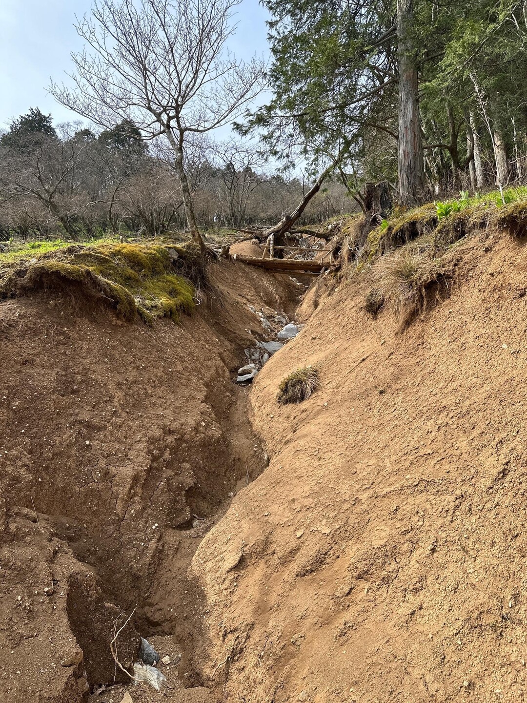 worryさんの投稿したフィールドメモ | YAMAP / ヤマップ