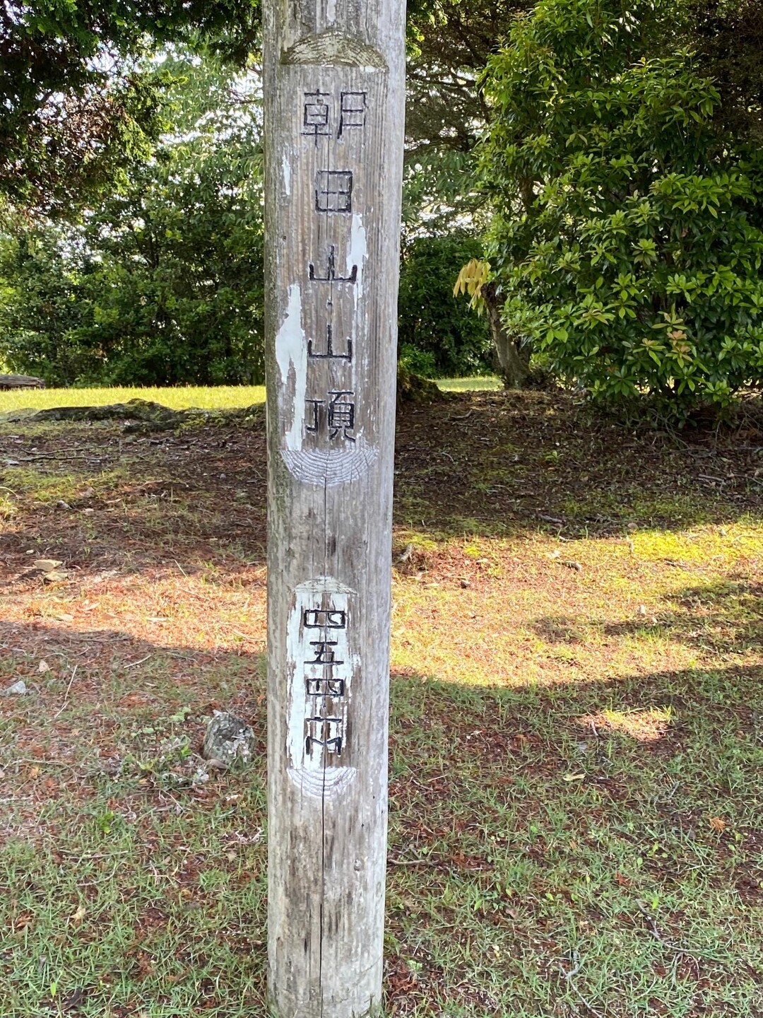 朝日山 / benchanさんの朝日山・鷹ノ巣山の活動データ | YAMAP / ヤマップ