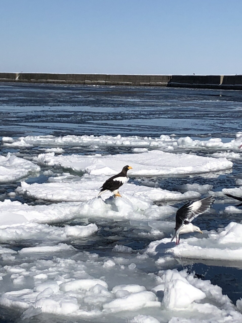 yasのページ | YAMAP / ヤマップ