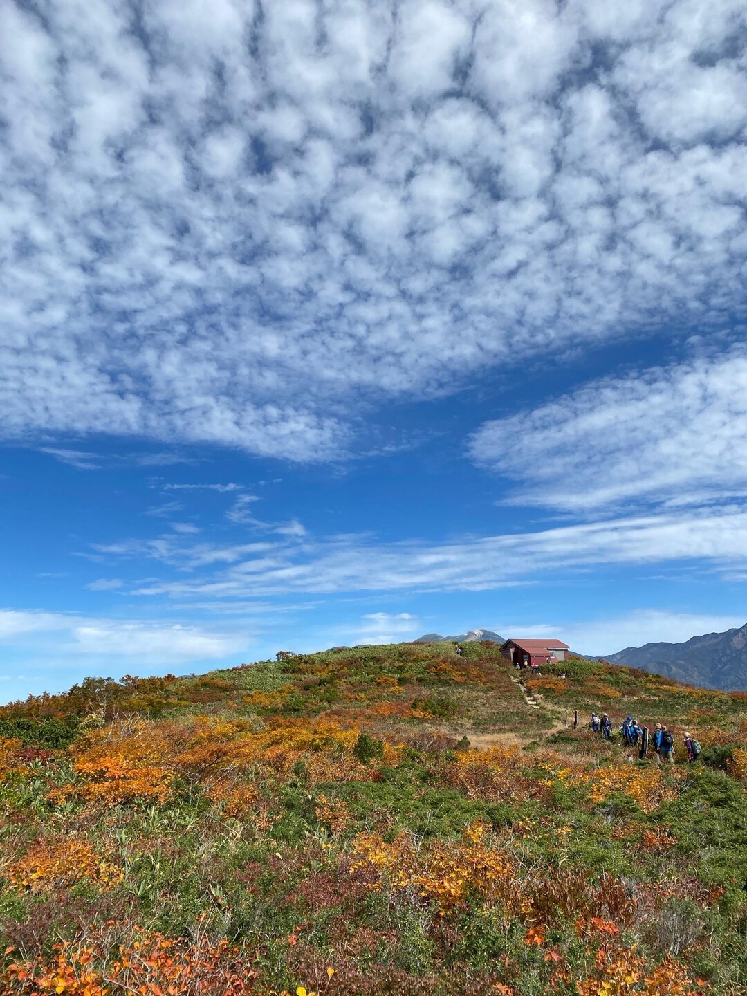 紅葉🍁山行 ぴょ〜ん🐇 赤兎山へ / Baziruさんの赤兎山・猪鼻山の活動データ | YAMAP / ヤマップ