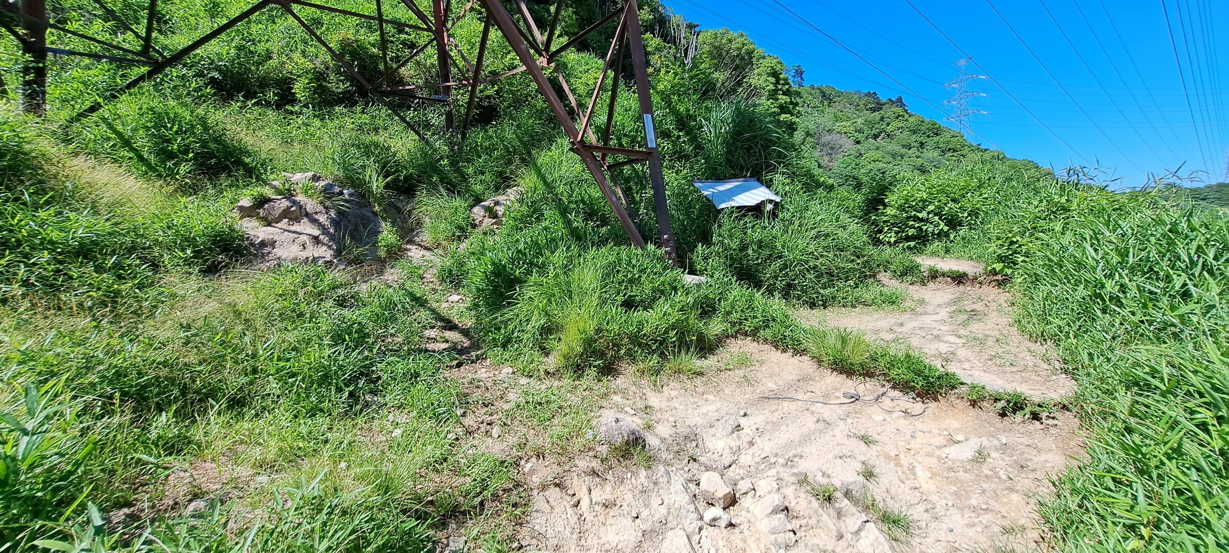 kame11さんの投稿したフィールドメモ | YAMAP / ヤマップ