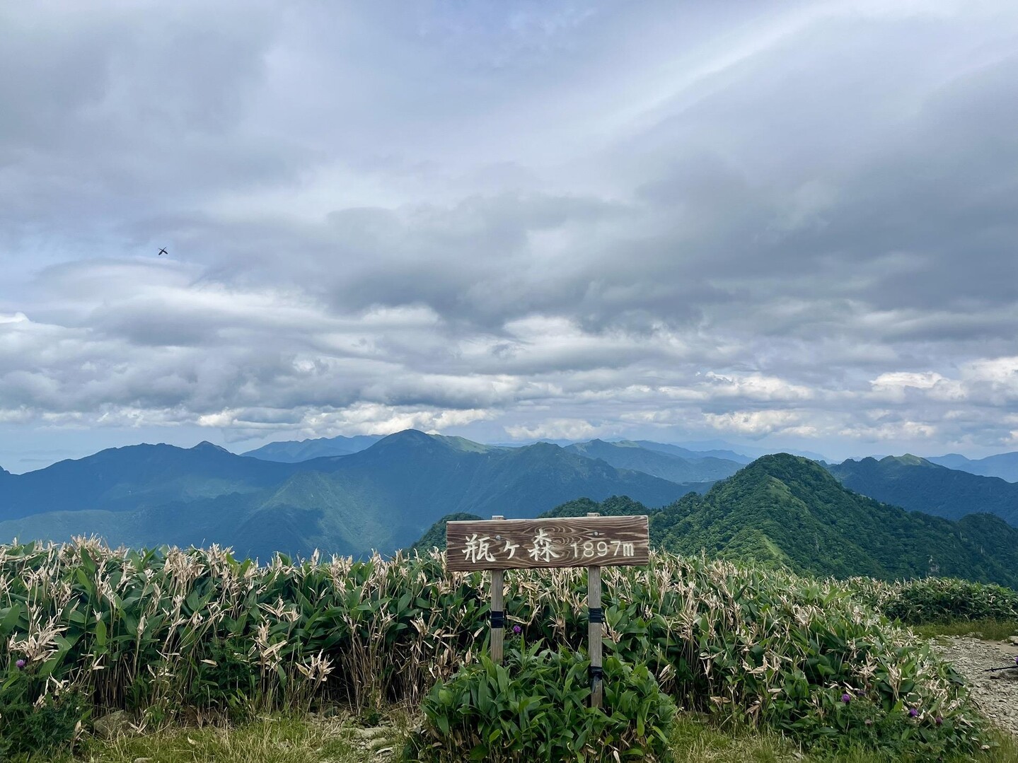 UFOライン縦走 / RUBYさんの瓶ヶ森・伊予富士の活動データ | YAMAP / ヤマップ