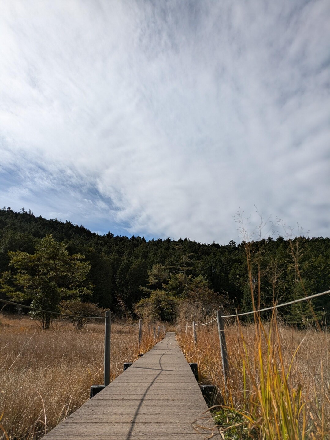 リハビリで屏風山 / MAKKOさんの屏風山の活動データ | YAMAP / ヤマップ