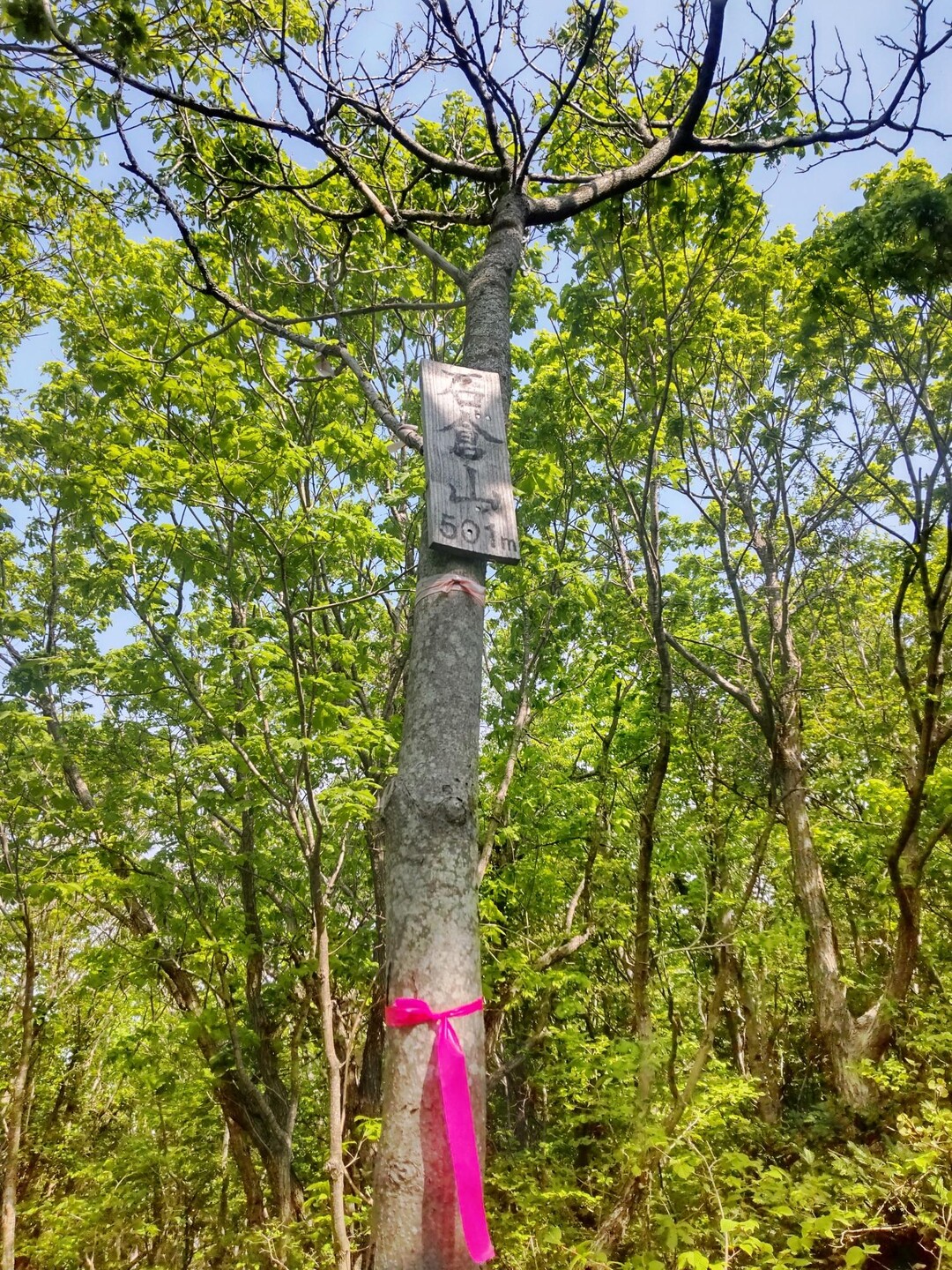 石倉山 / おじキツネさんの春香山・銭函峠・銭函天狗山の活動データ | YAMAP / ヤマップ