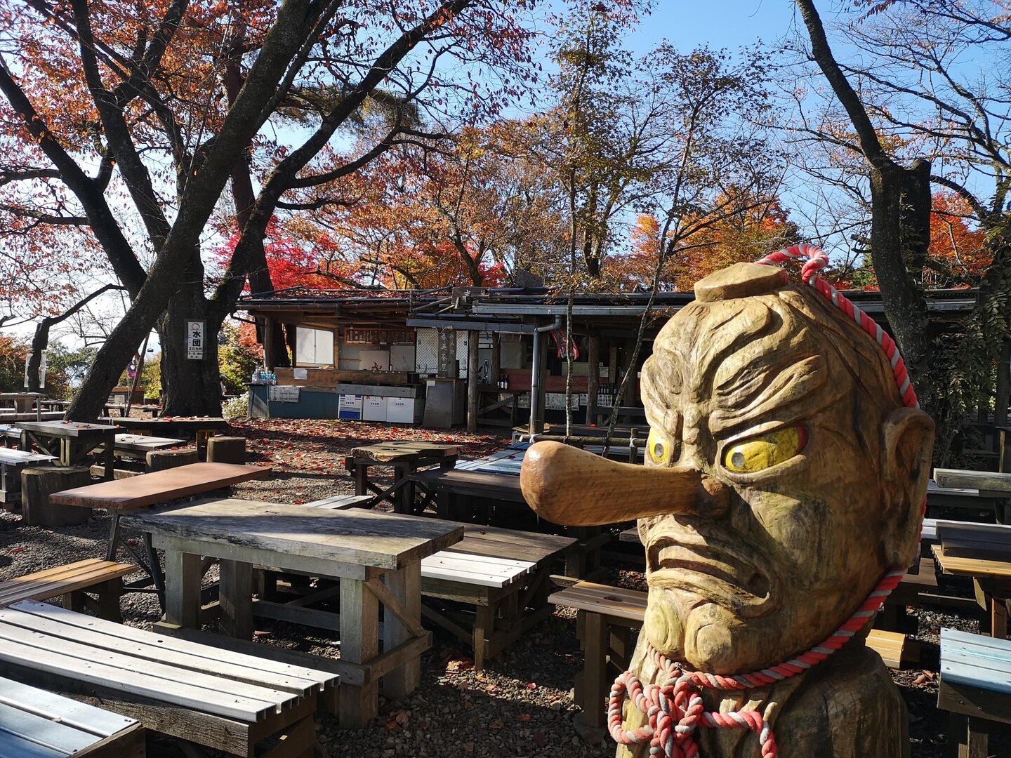 2022.11.08 城山天狗トレイルにチャレンジ！ / ハチマキさんさんの高尾山・陣馬山・景信山の活動データ | YAMAP / ヤマップ