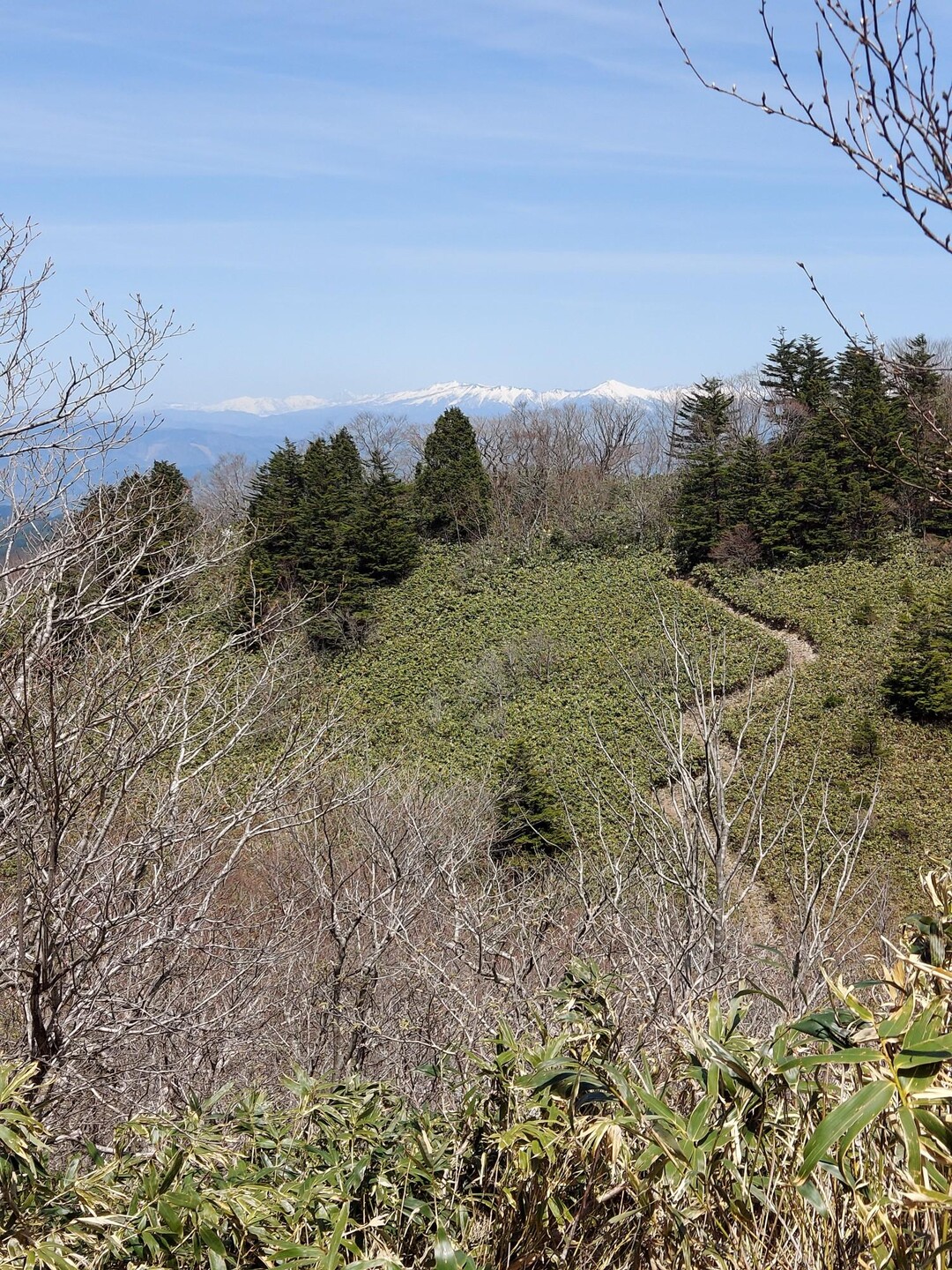 位山・川上岳 / AKEMIさんの川上岳・位山・船山（飛騨富士）の活動データ | YAMAP / ヤマップ
