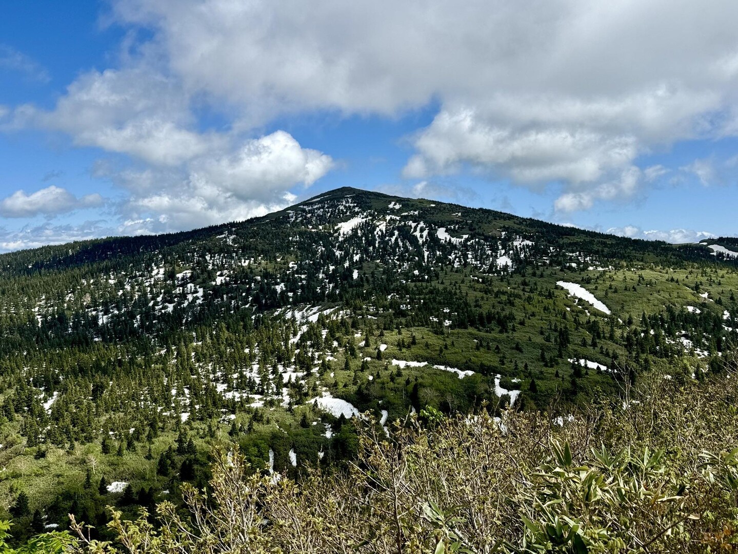 一ノ腰・石森・森吉山 / Shin5さんの森吉山の活動日記 | YAMAP / ヤマップ