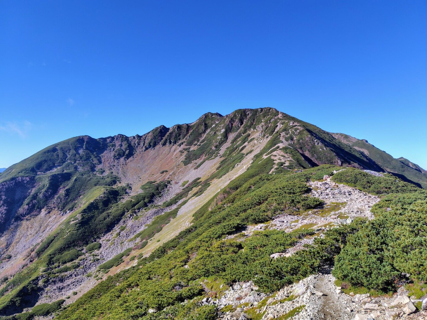Love 仙丈ヶ岳👰 たおやかな稜線歩き / JUNさんの仙丈ヶ岳・伊那荒倉岳の活動日記 | YAMAP / ヤマップ