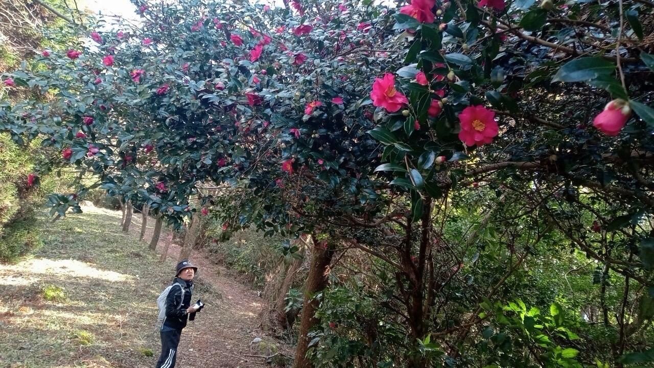 鬼ノ鼻山・福寿山・弁天山・聖岳 / Re:けんさんの鬼ノ鼻山・聖岳・両子山の活動日記 | YAMAP / ヤマップ