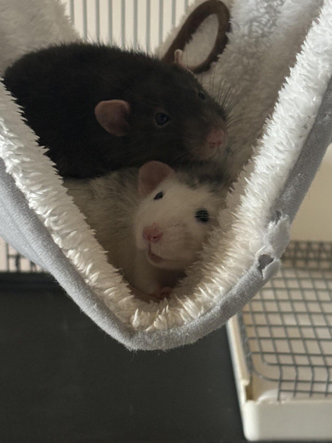 oO / mieさんのモーメント | YAMAP / ヤマップ