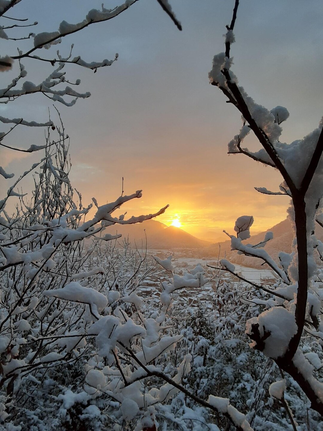 きょうもまた兎走山 2023-1-29 / yu16さんの金華山・洞山・舟伏山の活動データ | YAMAP / ヤマップ