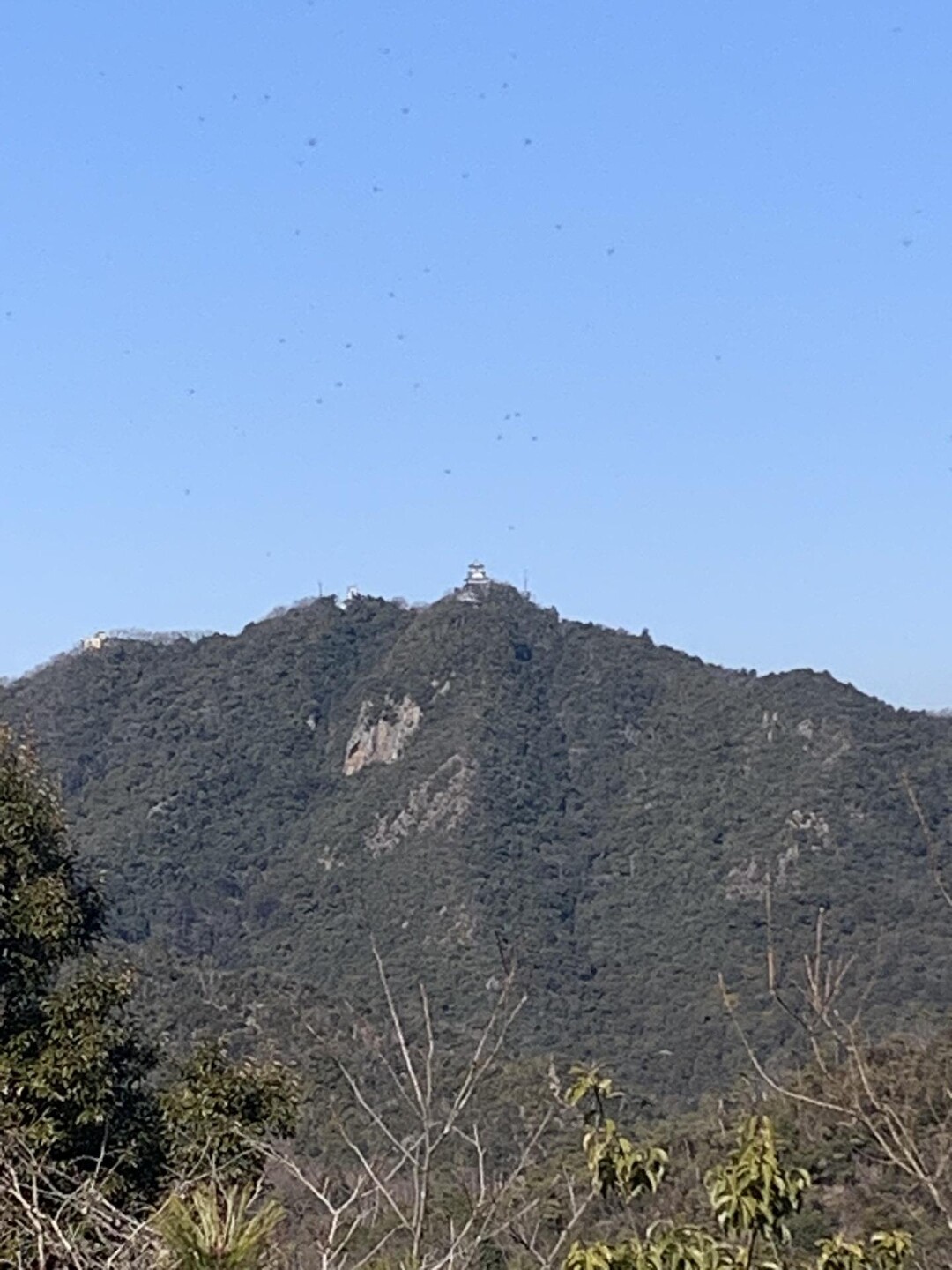洞山・野一色権現山・鷹巣山 / Marco pagot さんの金華山・洞山・舟伏山の活動データ | YAMAP / ヤマップ