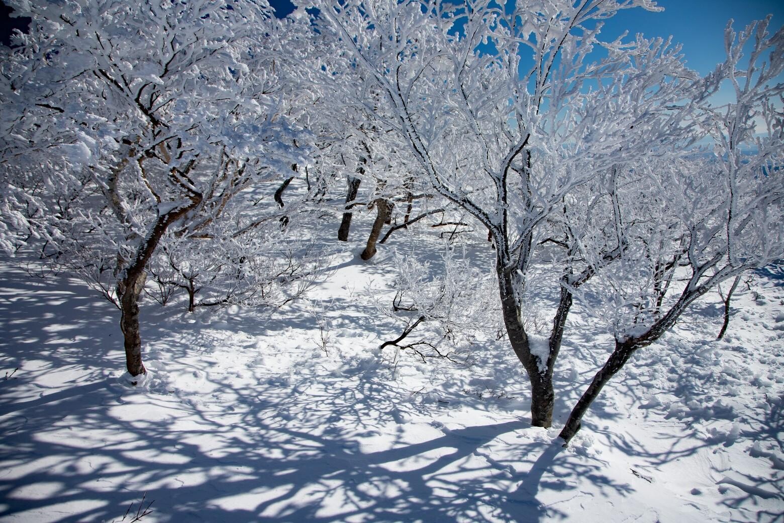 栗駒山(須川岳) / maiさんの栗駒山（須川岳）・秣岳・虚空蔵山の活動データ | YAMAP / ヤマップ