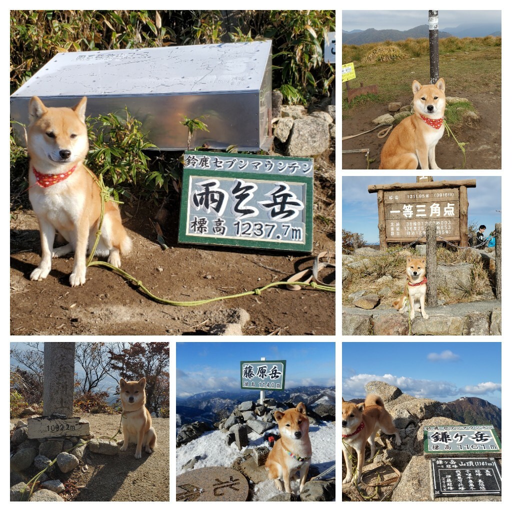 鈴鹿7ならぬ、鈴鹿6犬となりました！ 入... / damens さんのモーメント | YAMAP / ヤマップ